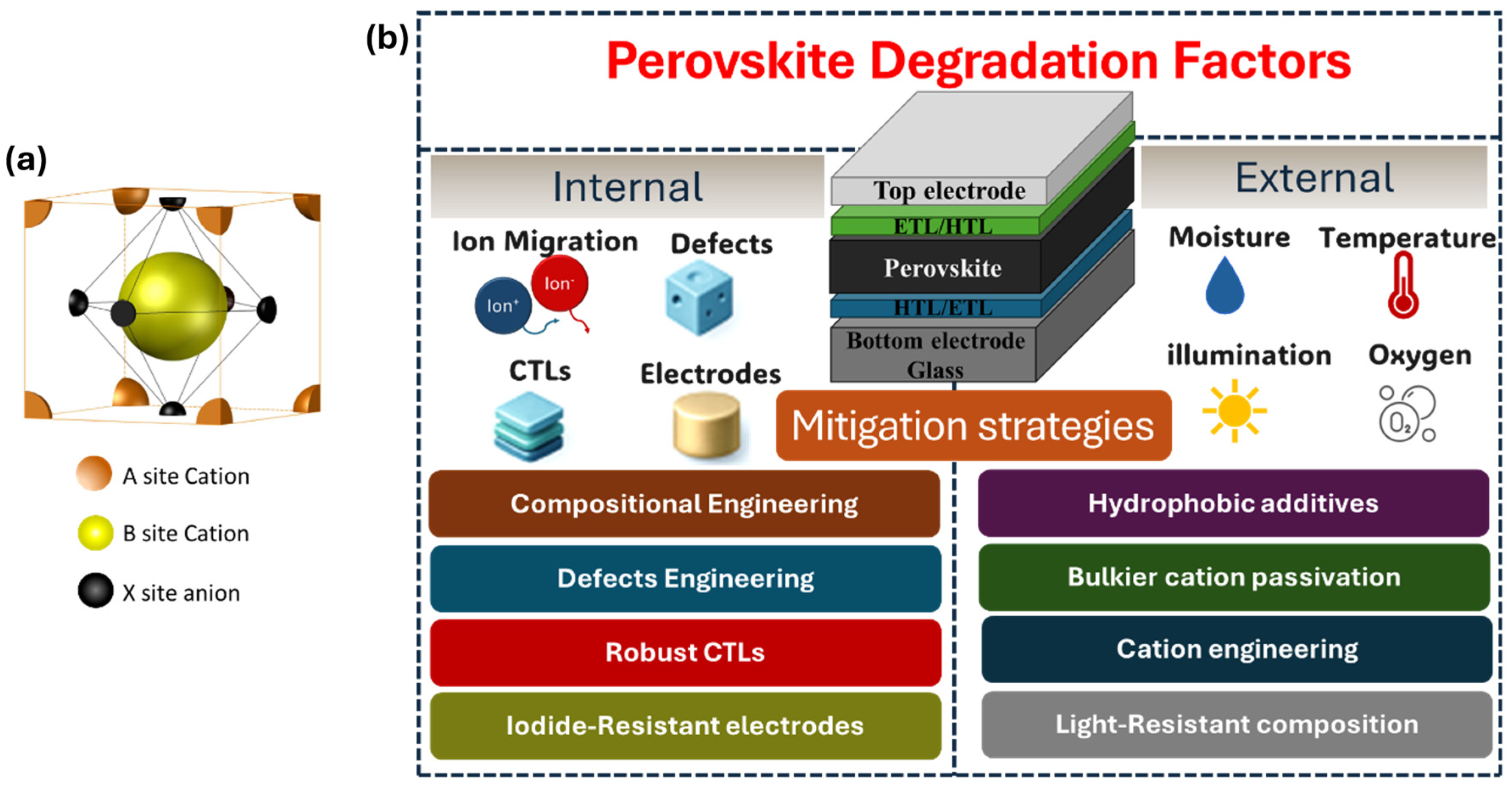Understanding the Long-Term Instability in Perovskite Solar Cells: Mechanisms and Mitigation ...