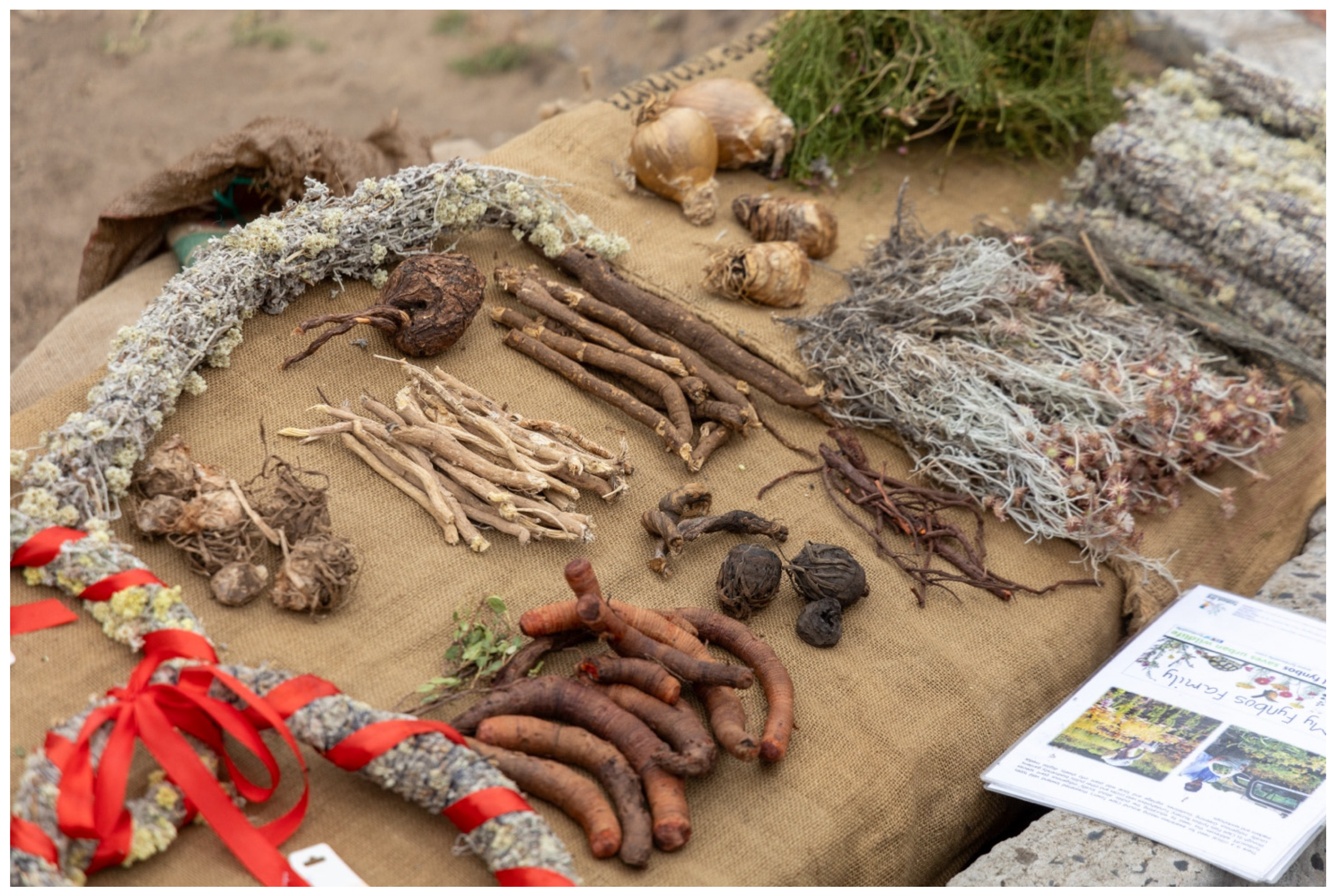 Anthropology of Food: History, Topics, and Trajectories to Understand a ...