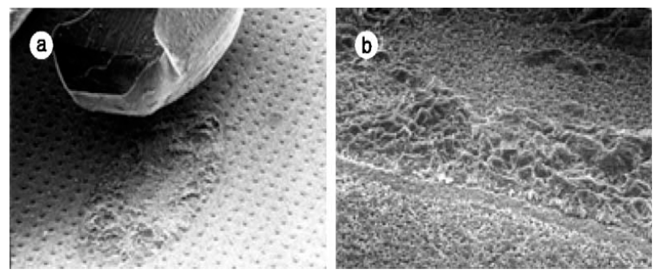 Reliability of Wide Band Gap Power Electronic Semiconductor and ...