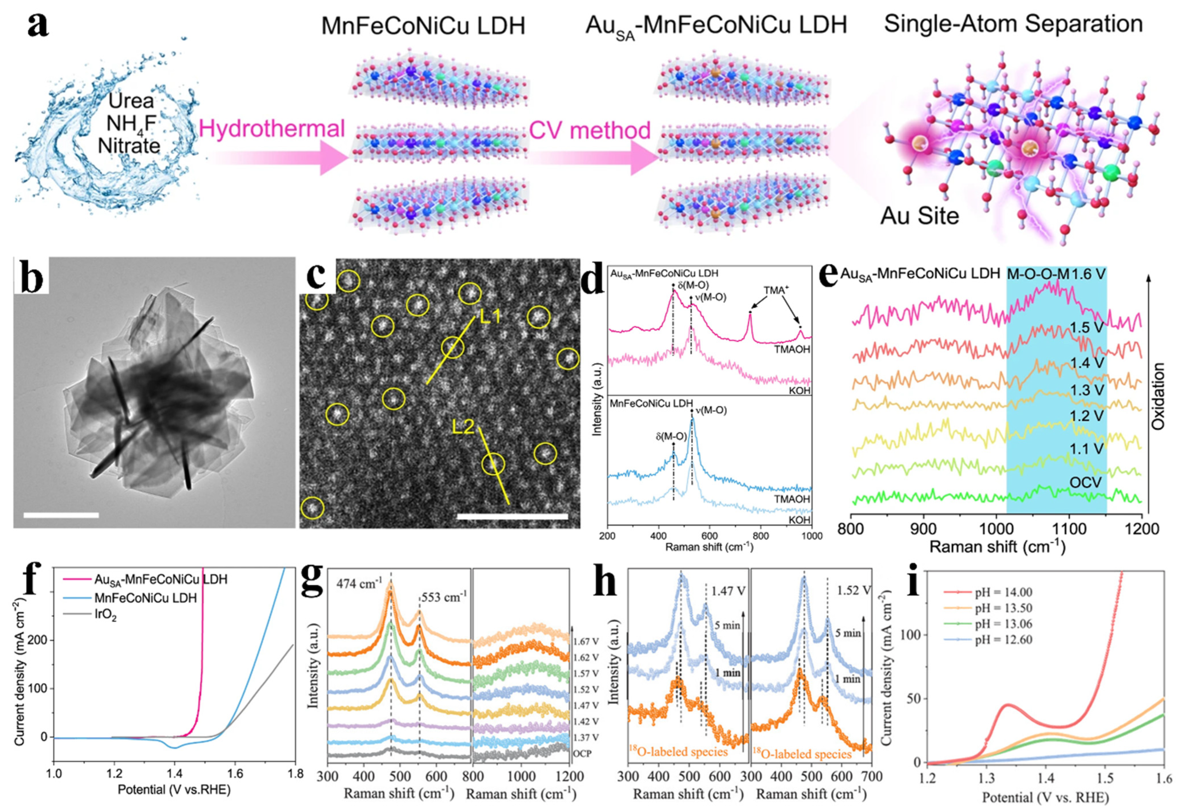 In Situ Raman Study of Layered Double Hydroxide Catalysts for Water ...