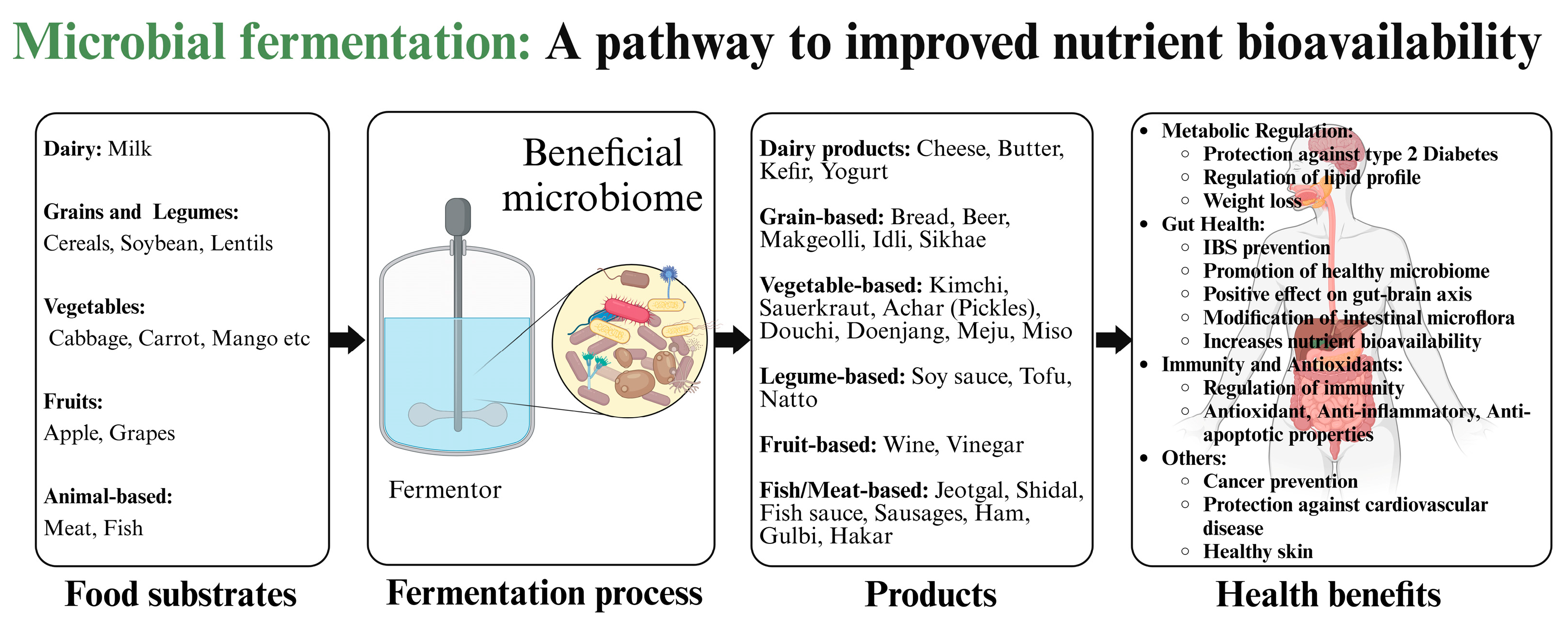 Microbial Fermentation in Food: Impact on Functional Properties and ...