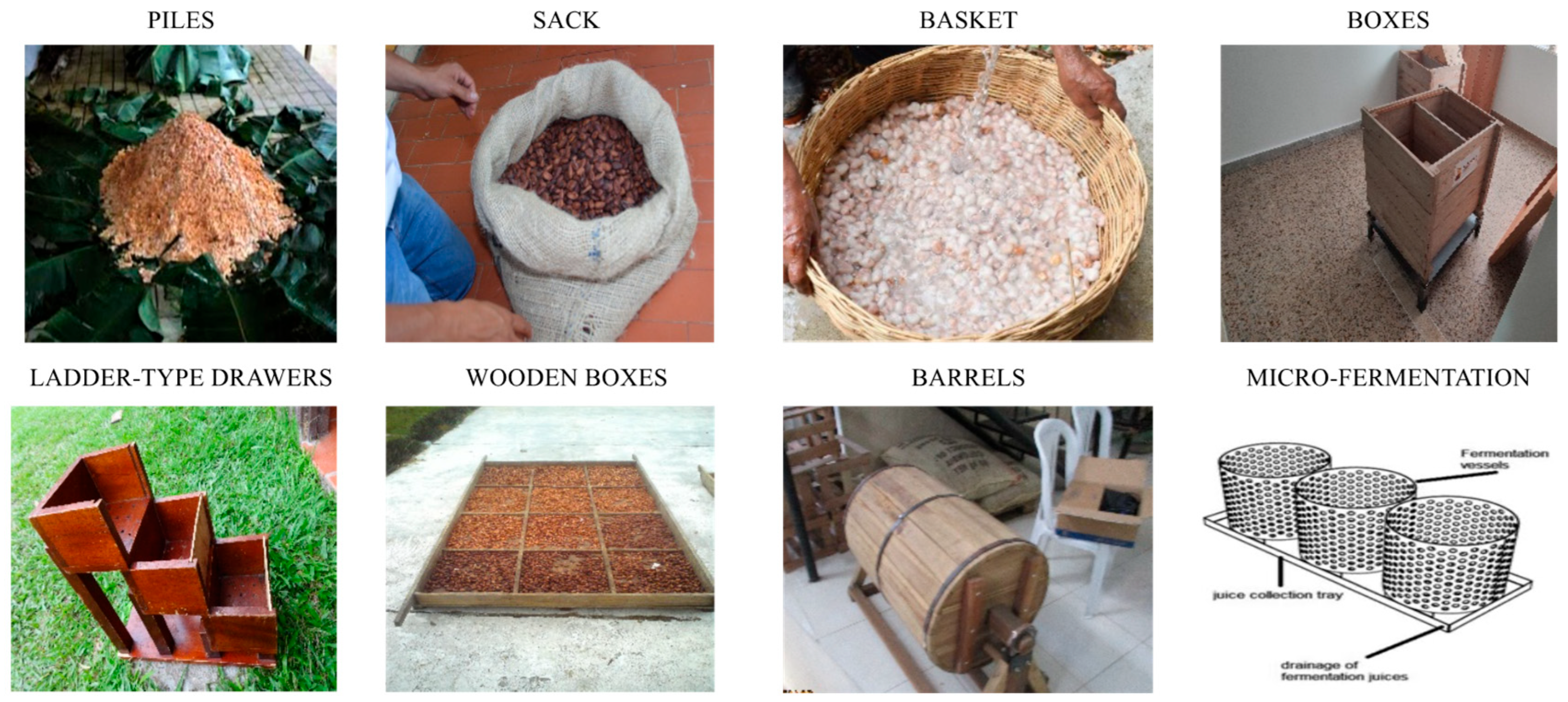 Impact of Spontaneous Fermentation on the Physicochemical and Sensory ...