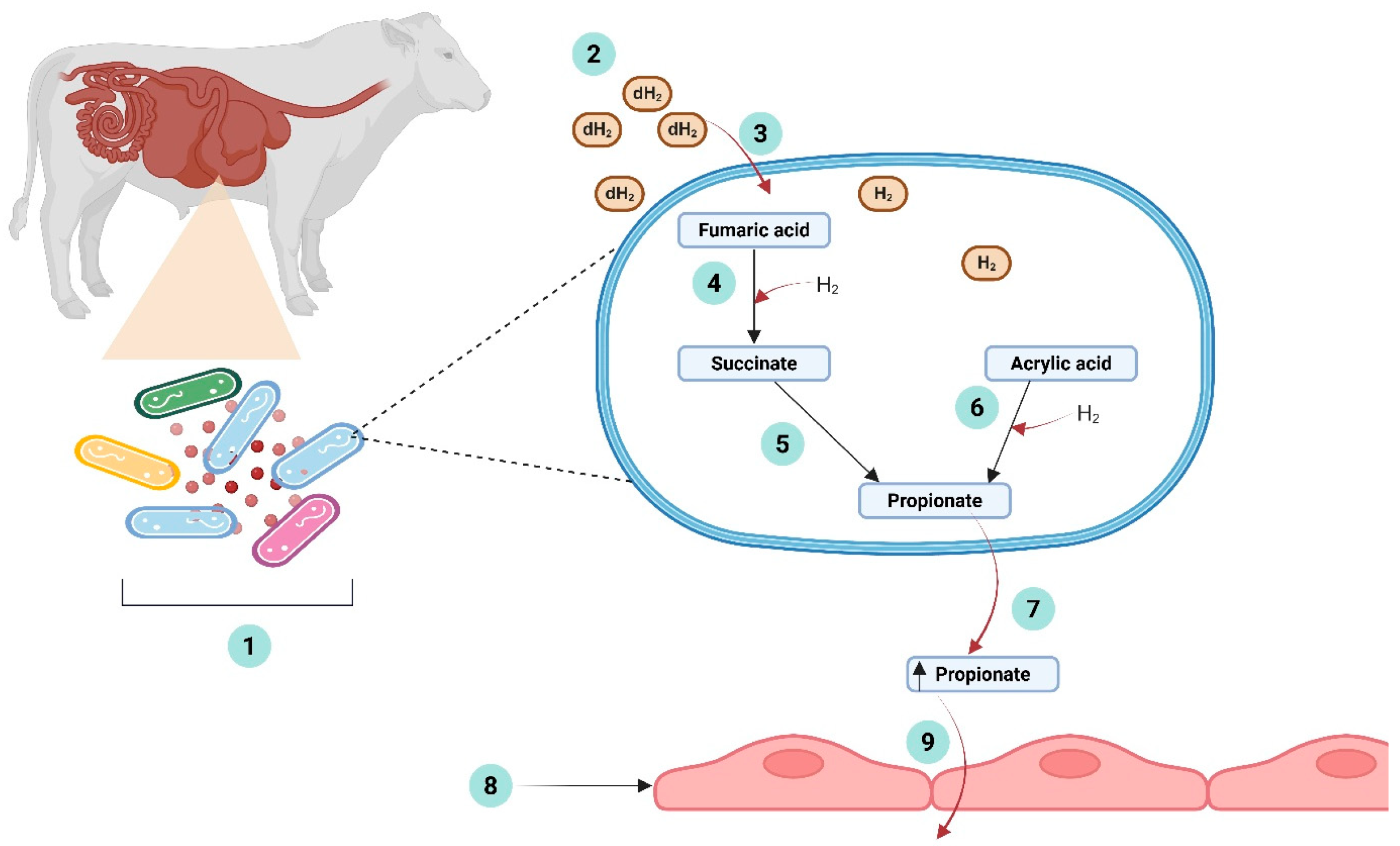 Insights into the Feed Additive Inhibitor and Alternative Hydrogen ...