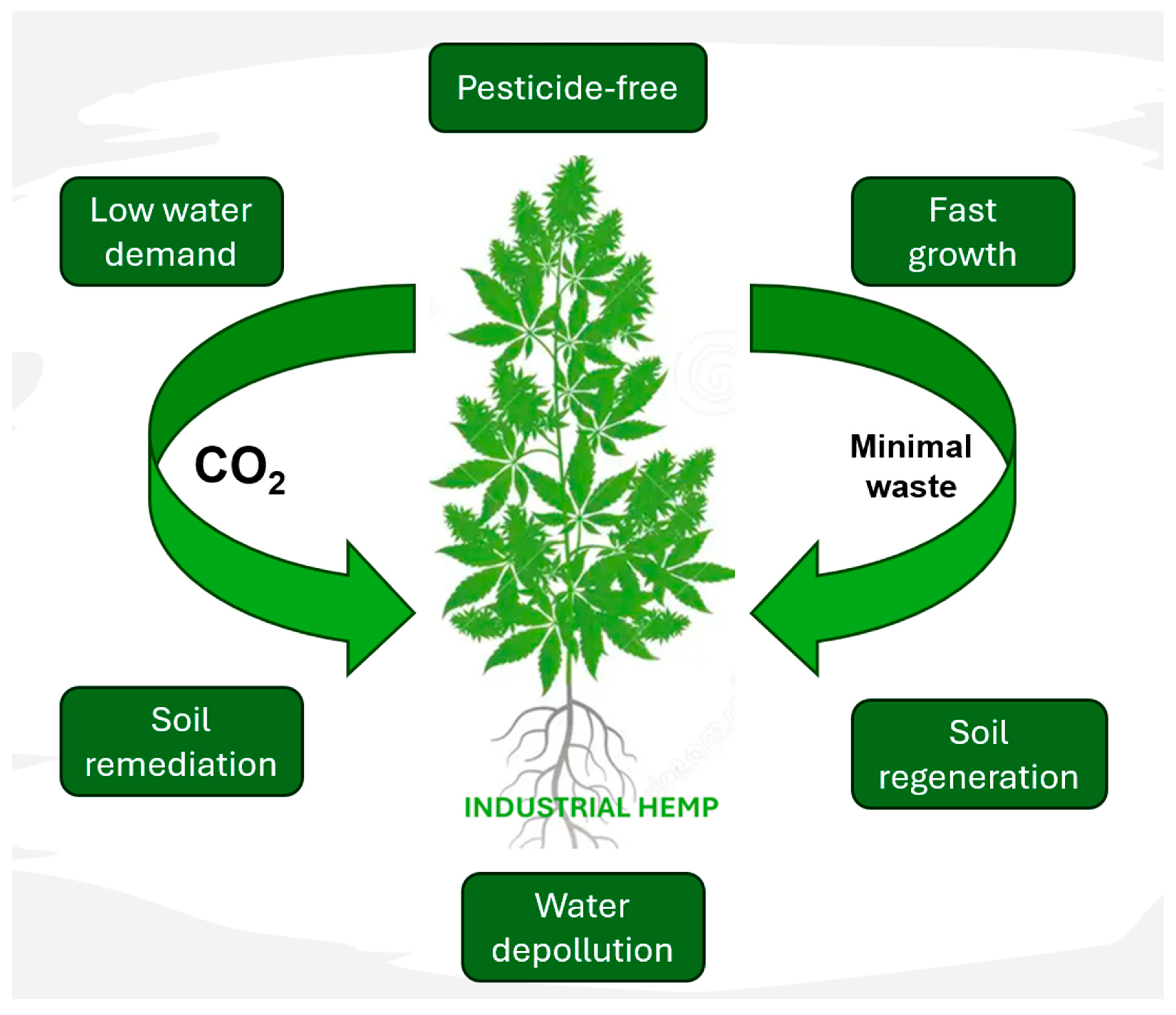 Industrial Hemp as Precursor for Sustainable Bioproducts: Recent Trends ...