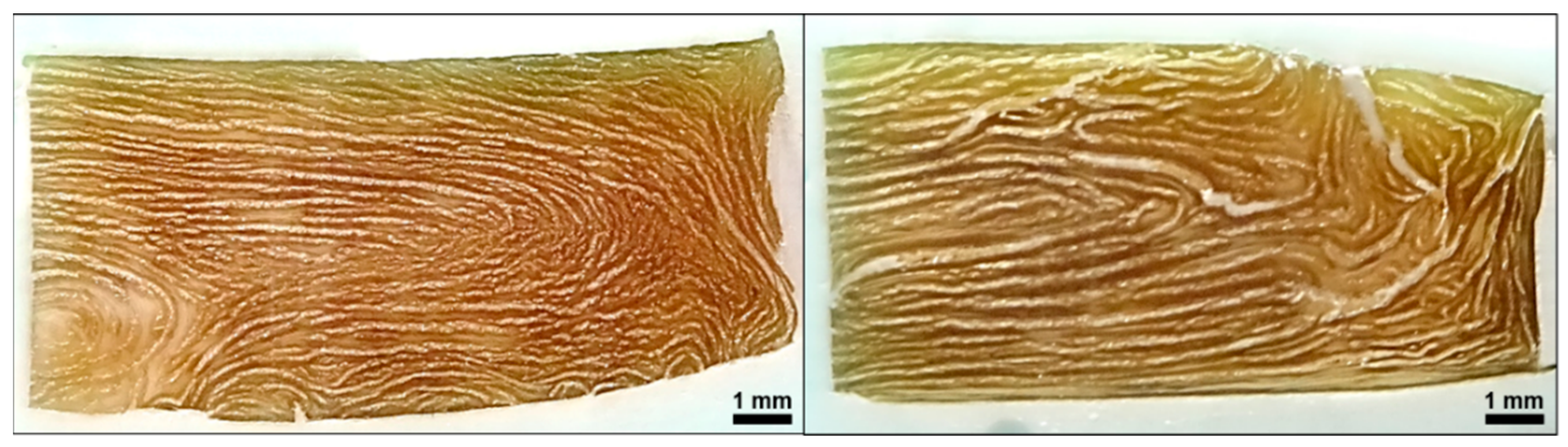 High Moisture Extrusion of Soy Protein: Investigations on the Formation ...