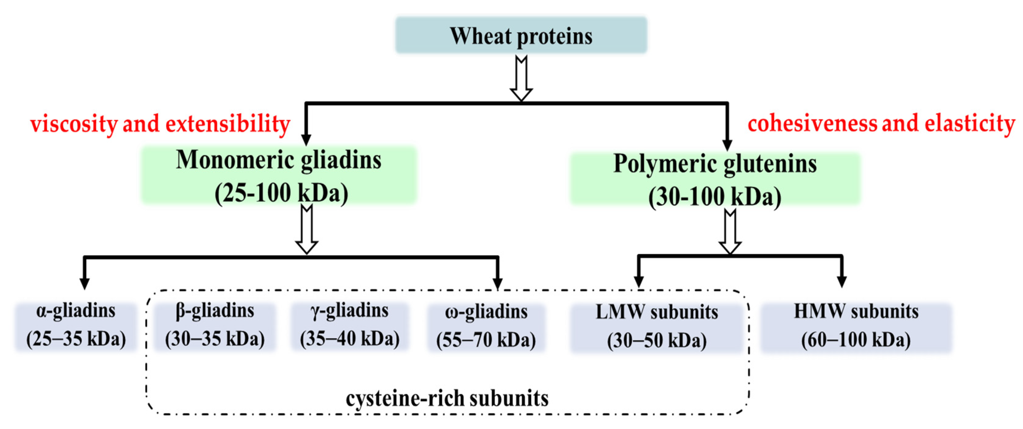 Recent Advances in the Study of Wheat Protein and Other Food Components ...