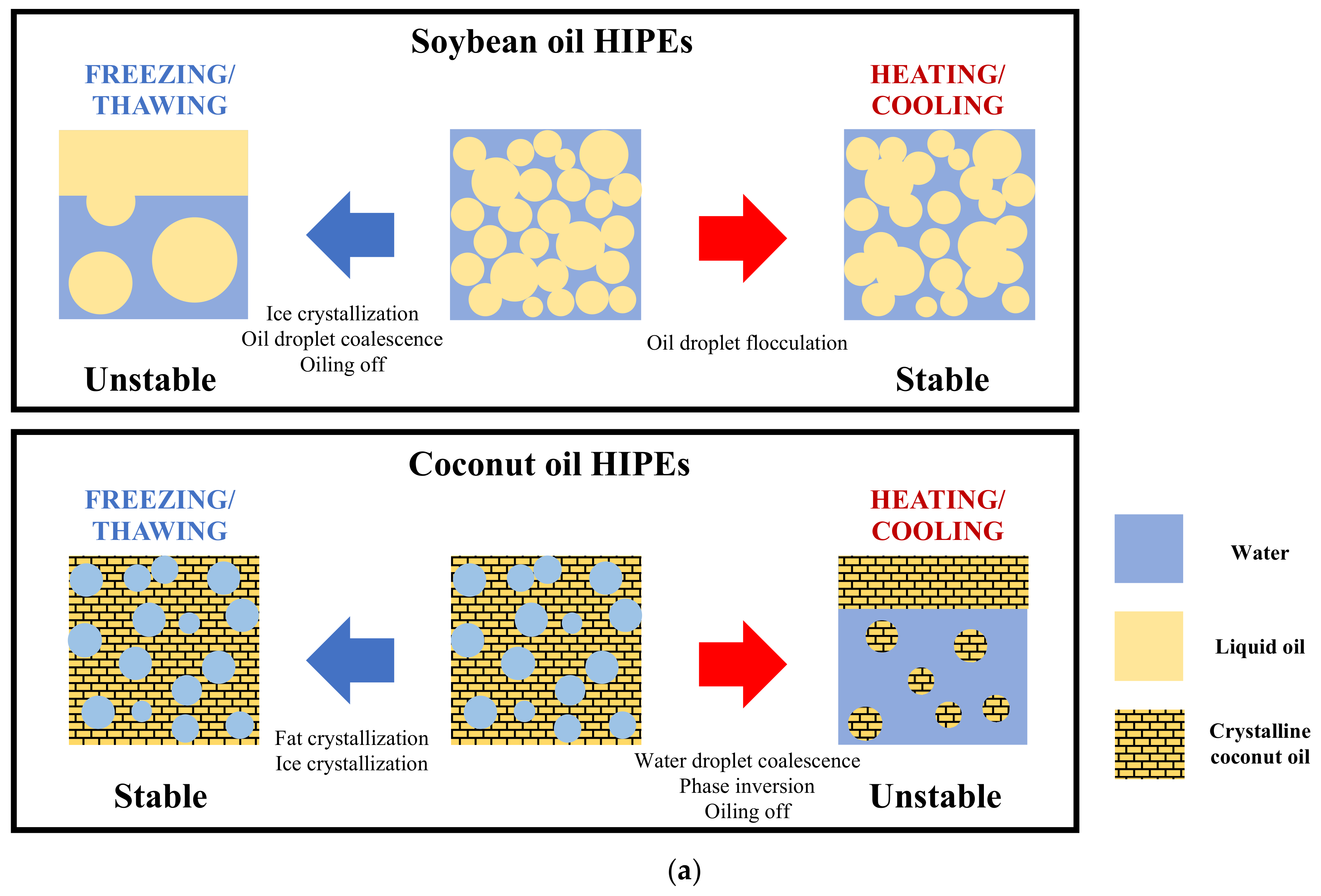Development of Plant-Based Adipose Tissue Analogs: Freeze-Thaw and ...
