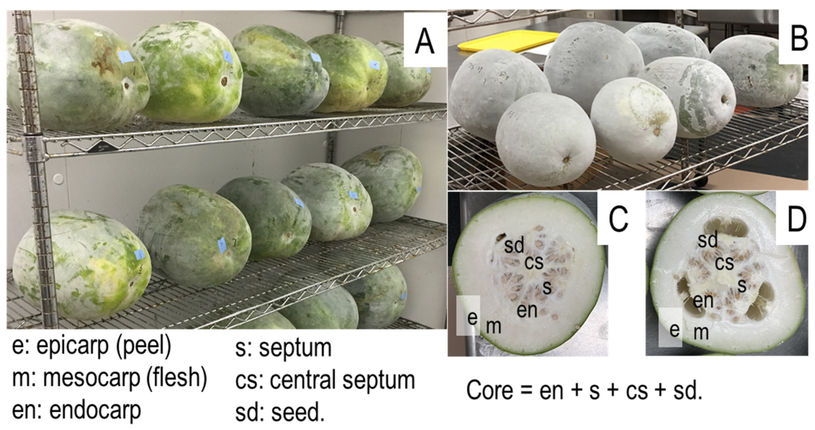 Soil Amendment and Storage Effect the Quality of Winter Melons ...