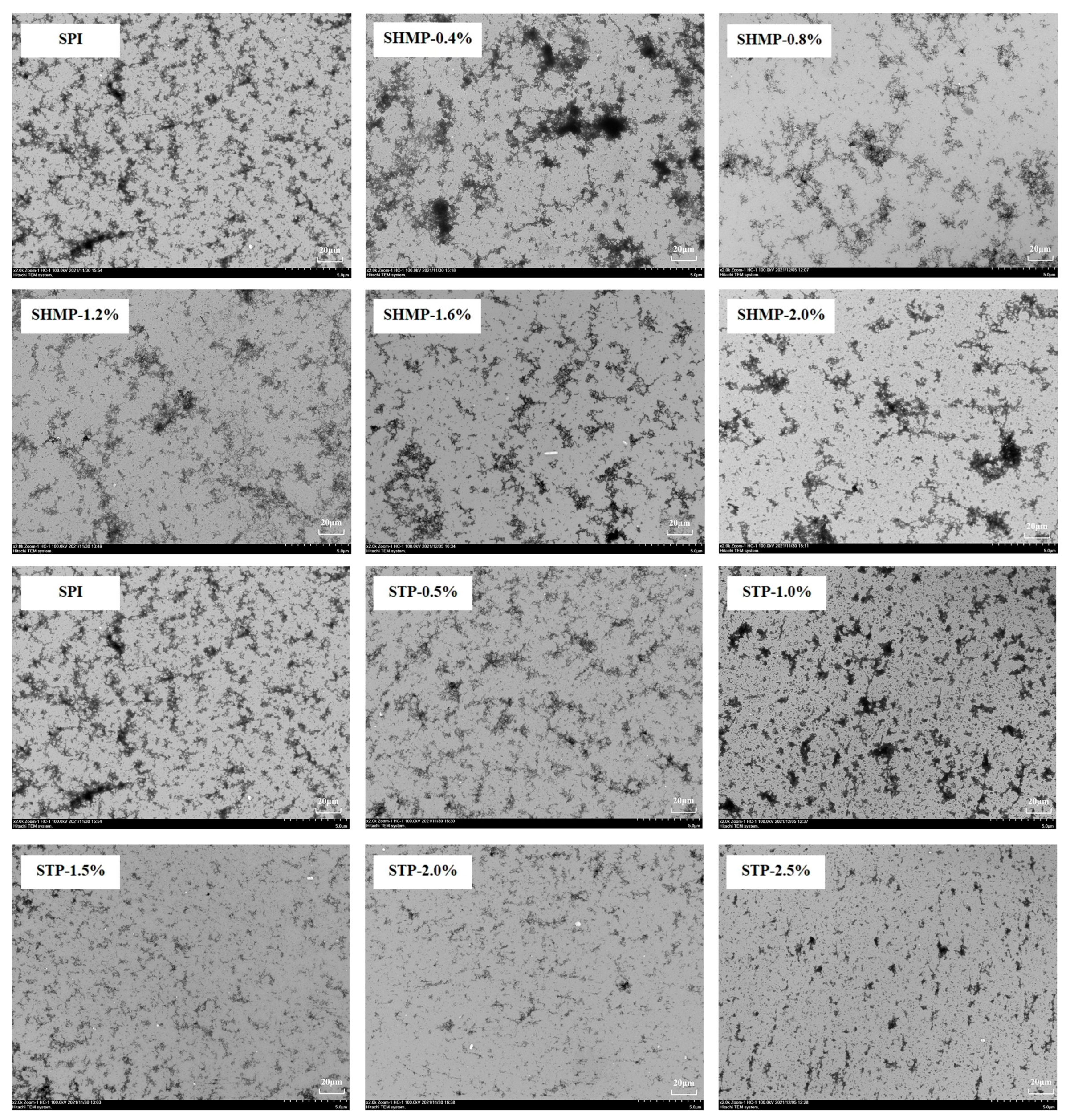 Study on the Structure, Function, and Interface Characteristics of ...