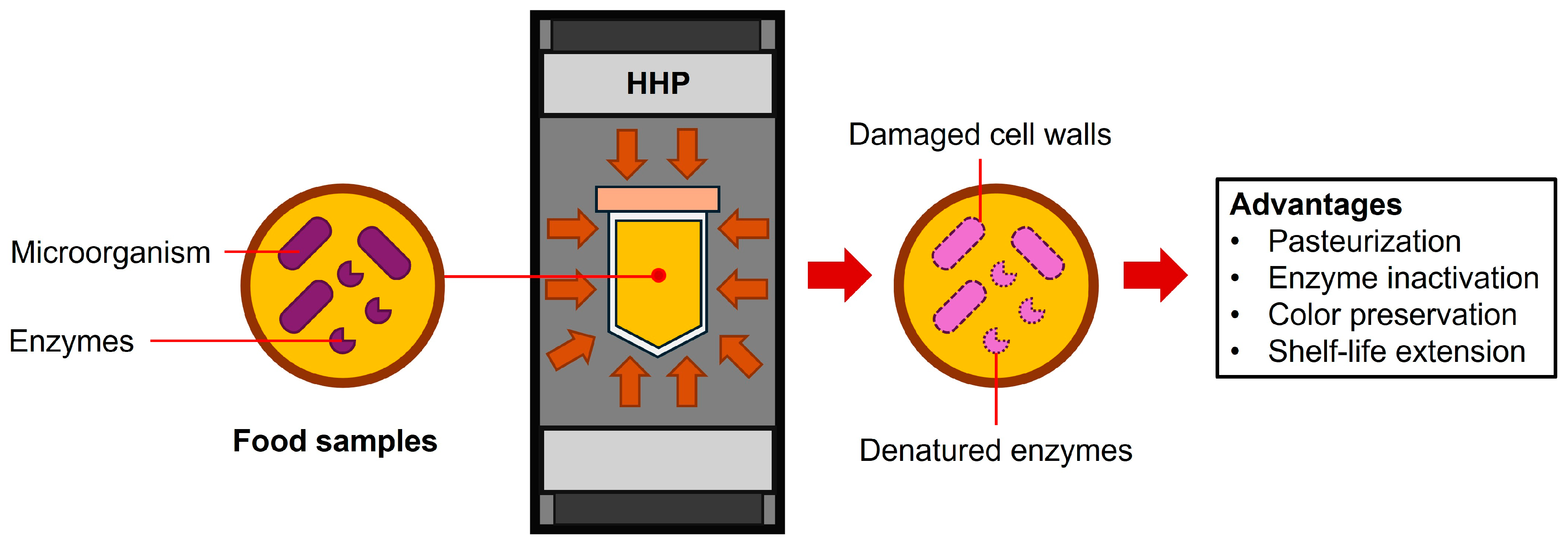 High Hydrostatic Pressure: Influences on Allergenicity, Bioactivities ...