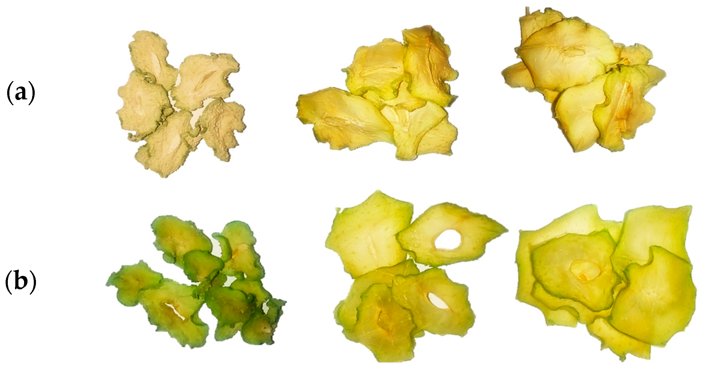 Composite Coatings Applied to Fresh and Blanched Chayote (Sechium edule ...