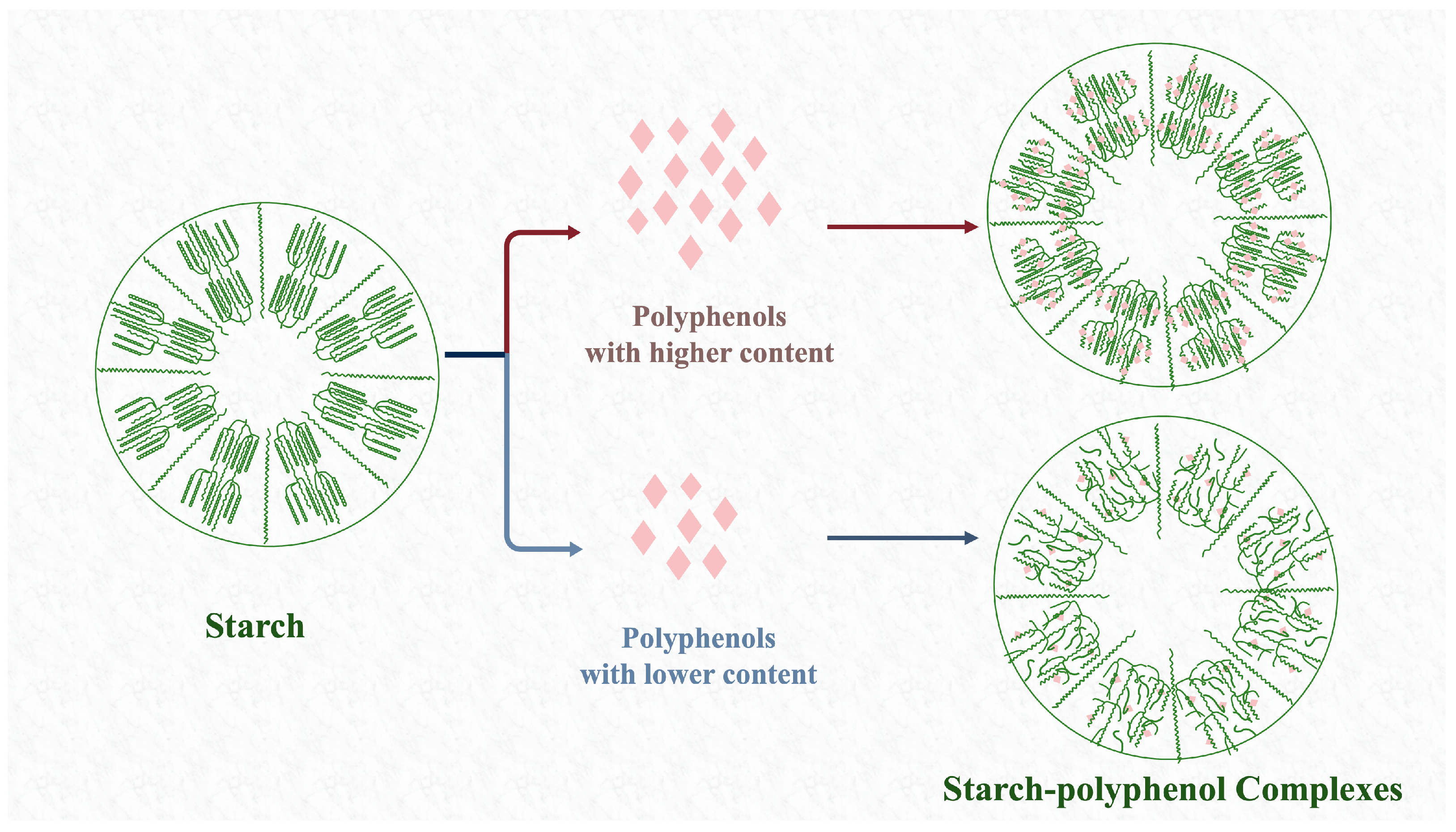Formation and Application of Starch–Polyphenol Complexes: Influencing ...