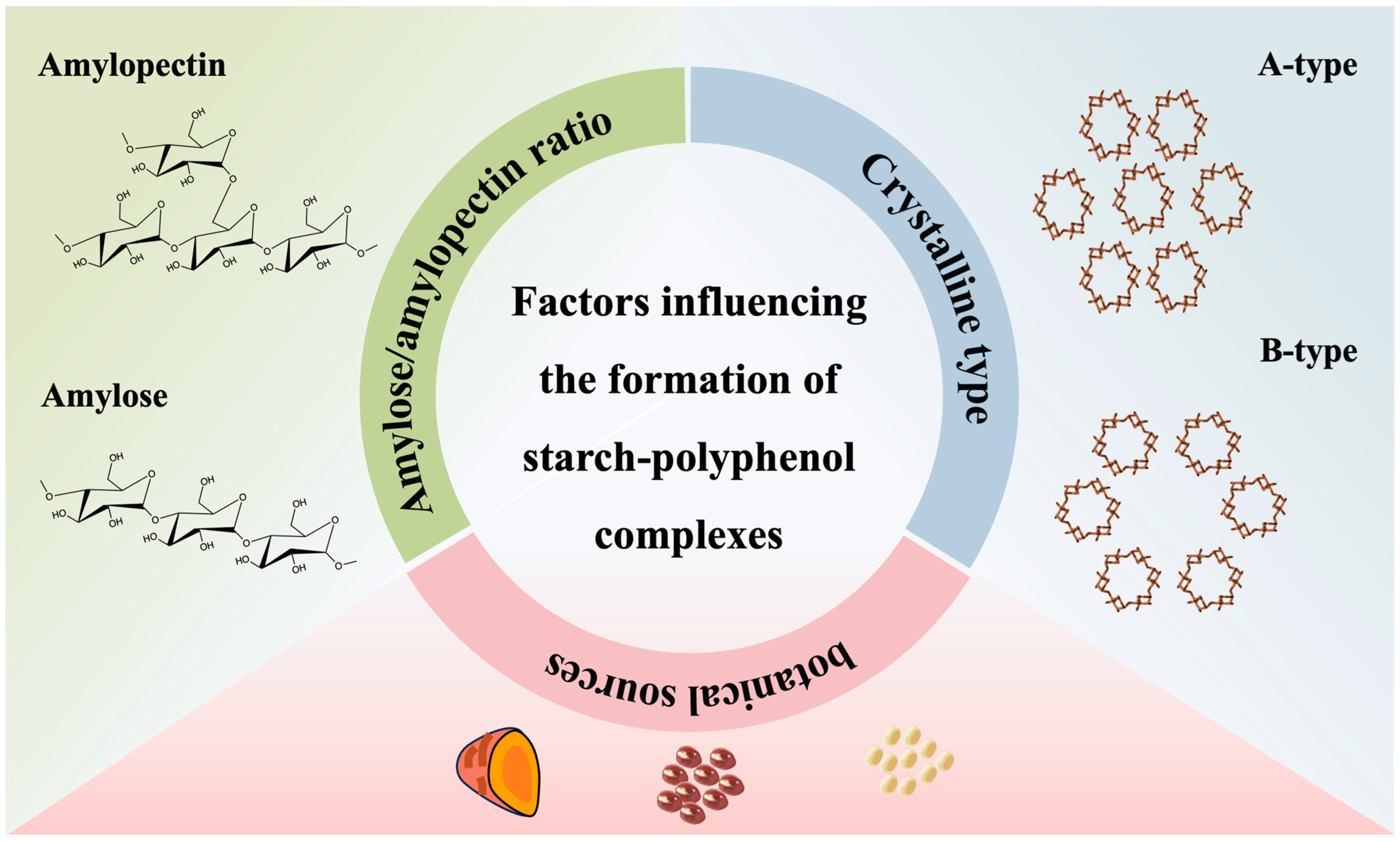 Formation and Application of Starch–Polyphenol Complexes: Influencing ...