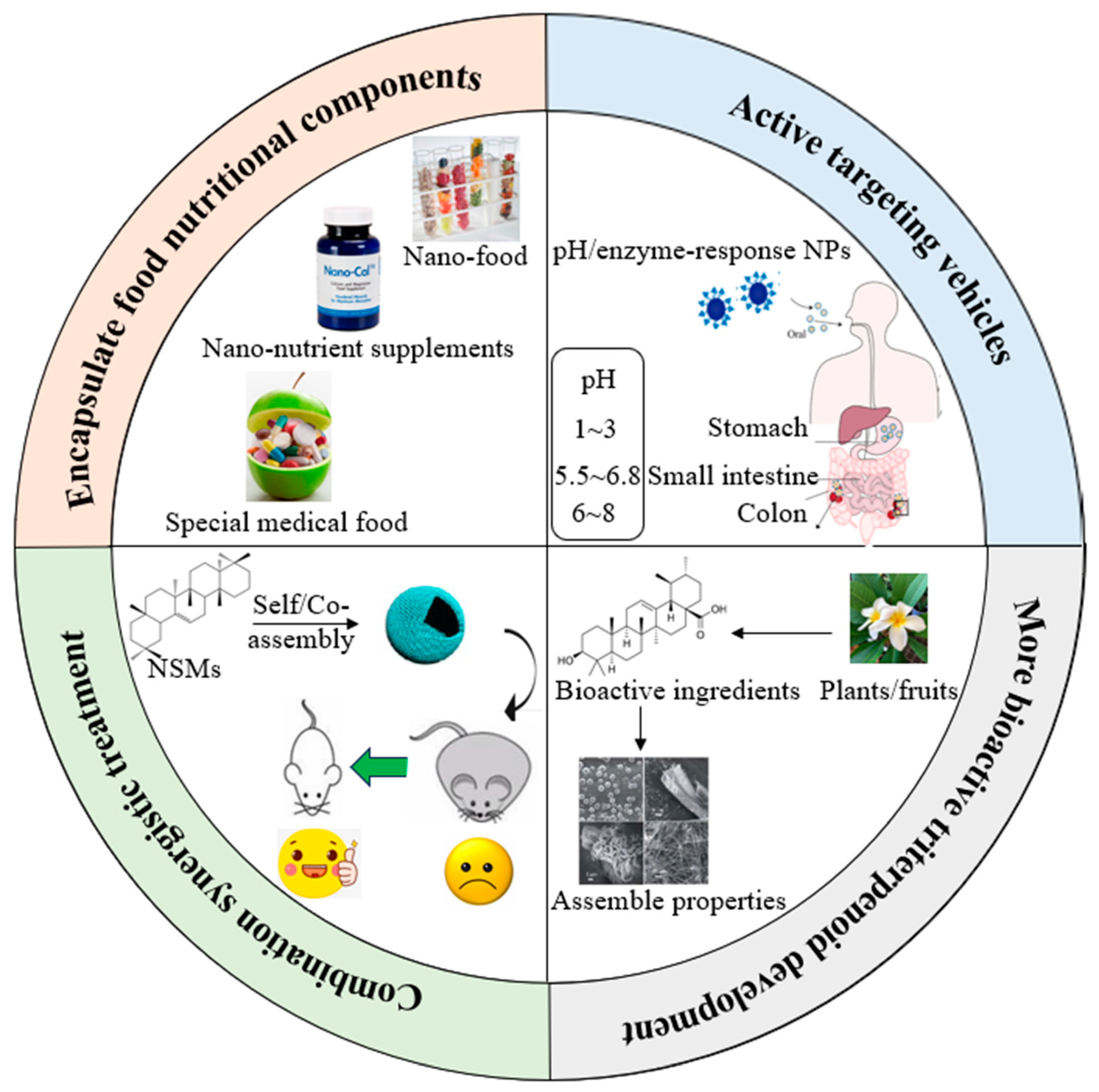 Recent Advances of Natural Pentacyclic Triterpenoids as Bioactive ...