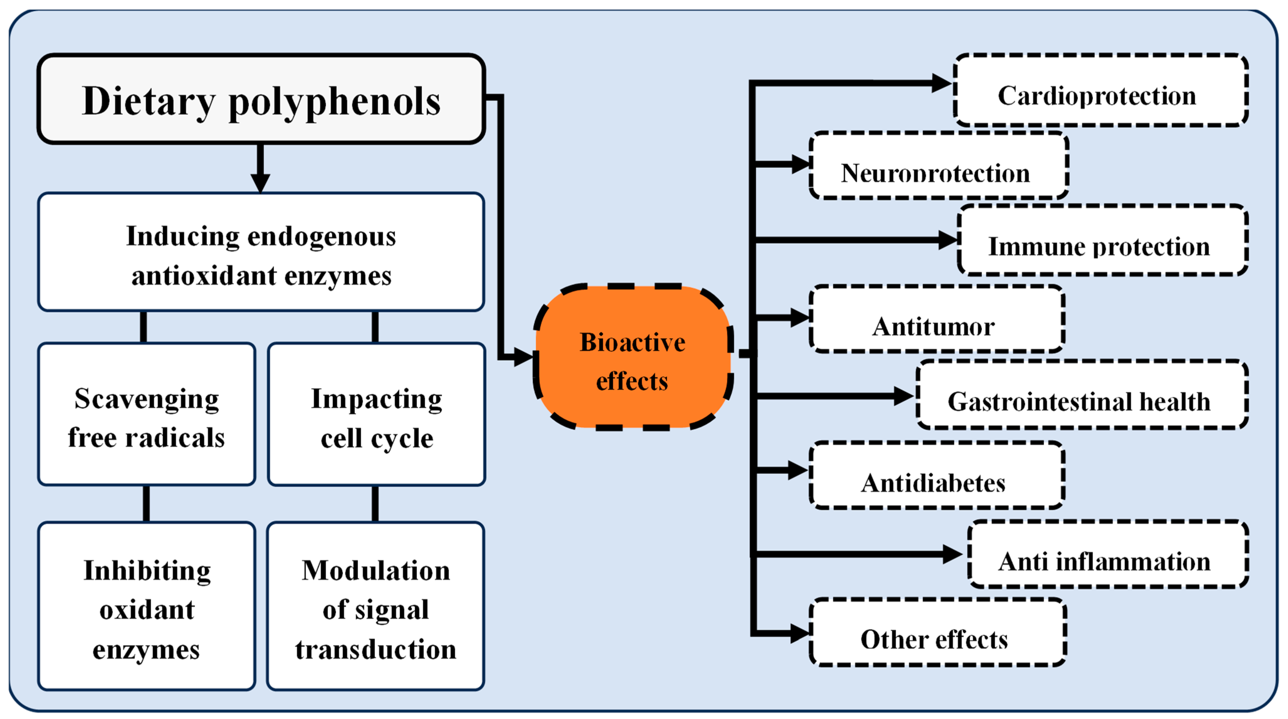 Plant-Based Meat Analogues: Exploring Proteins, Fibers and Polyphenolic ...