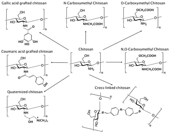 Application of Chitosan and Its Derivatives in Postharvest Coating ...
