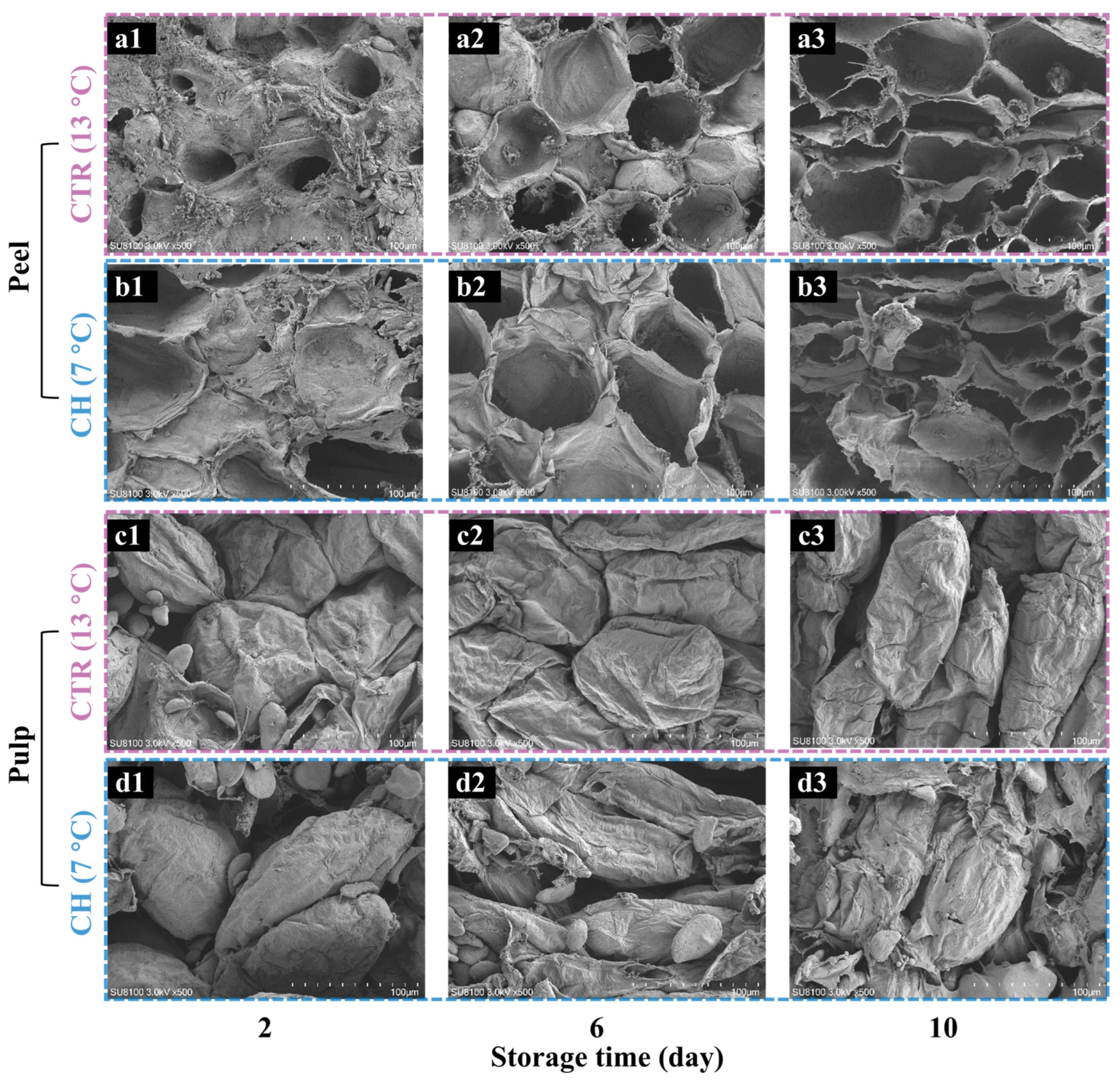 Comparative Analysis of Chilling Injury in Banana Fruit During Storage ...