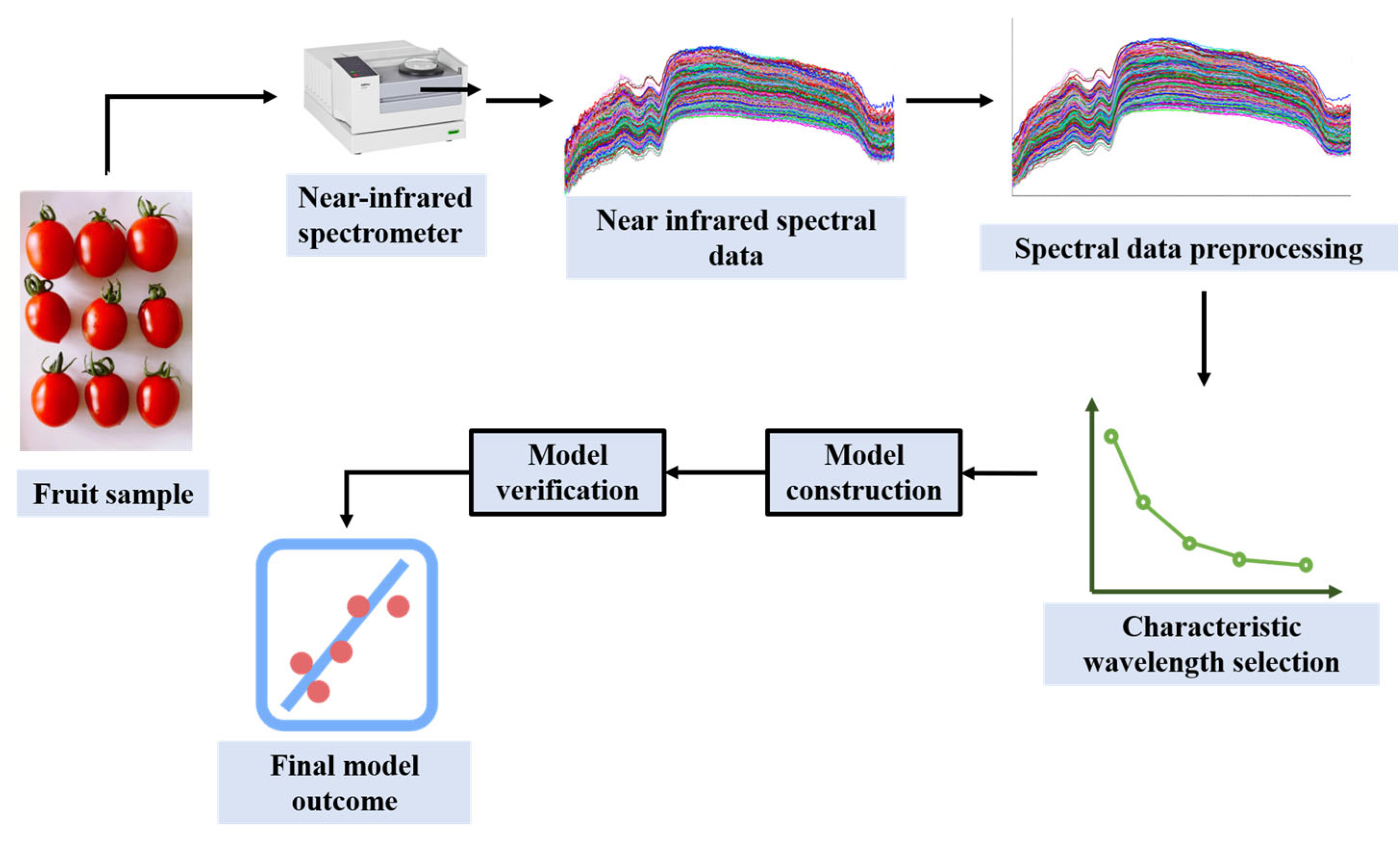 Non-Destructive Detection of Fruit Quality: Technologies, Applications ...