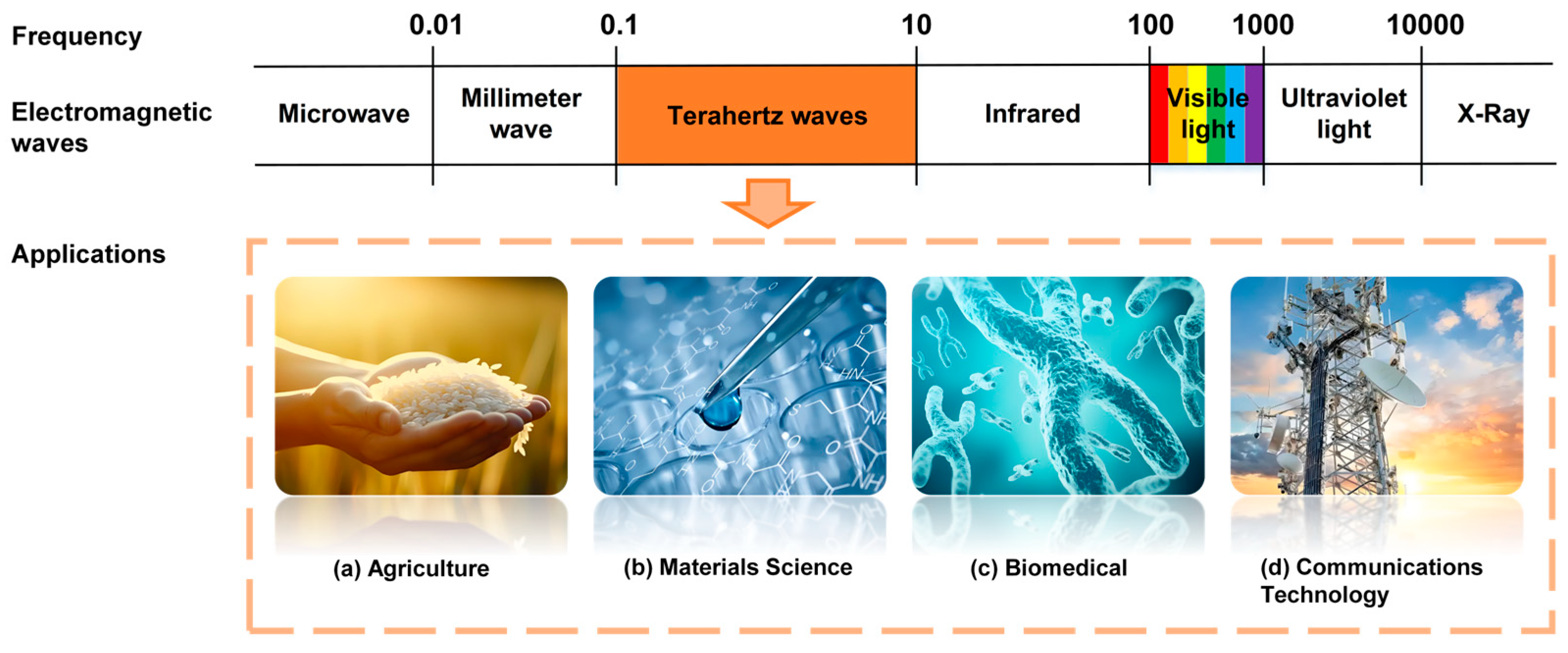 Terahertz Spectroscopy for Food Quality Assessment: A Comprehensive ...