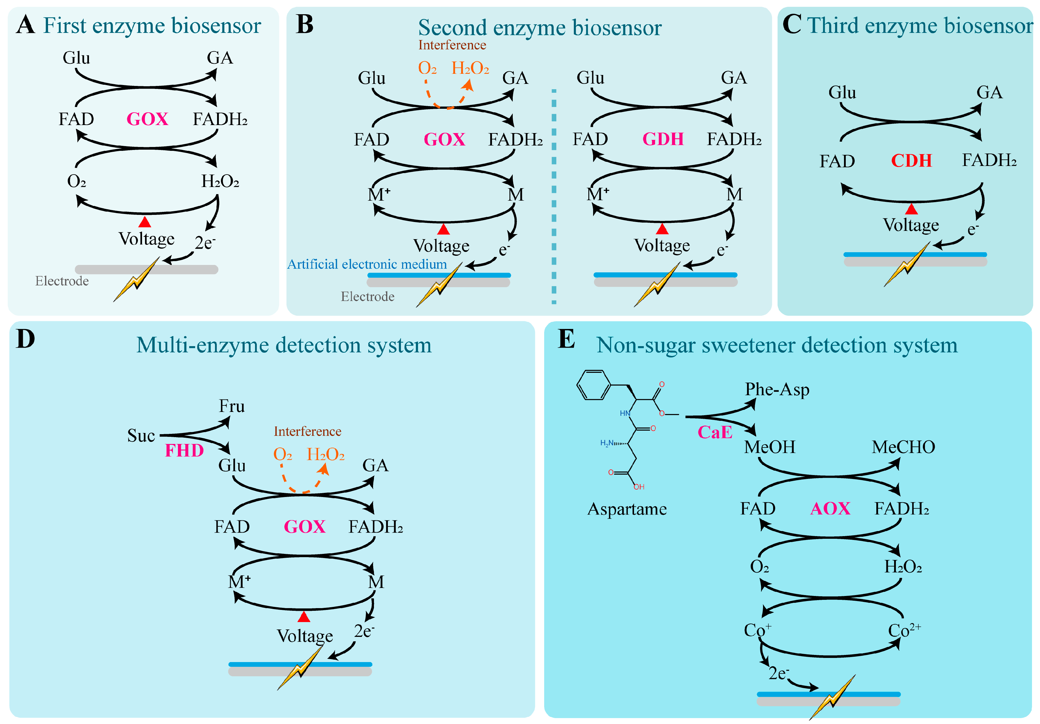 Comprehensive New Insights into Sweet Taste Transmission Mechanisms and ...