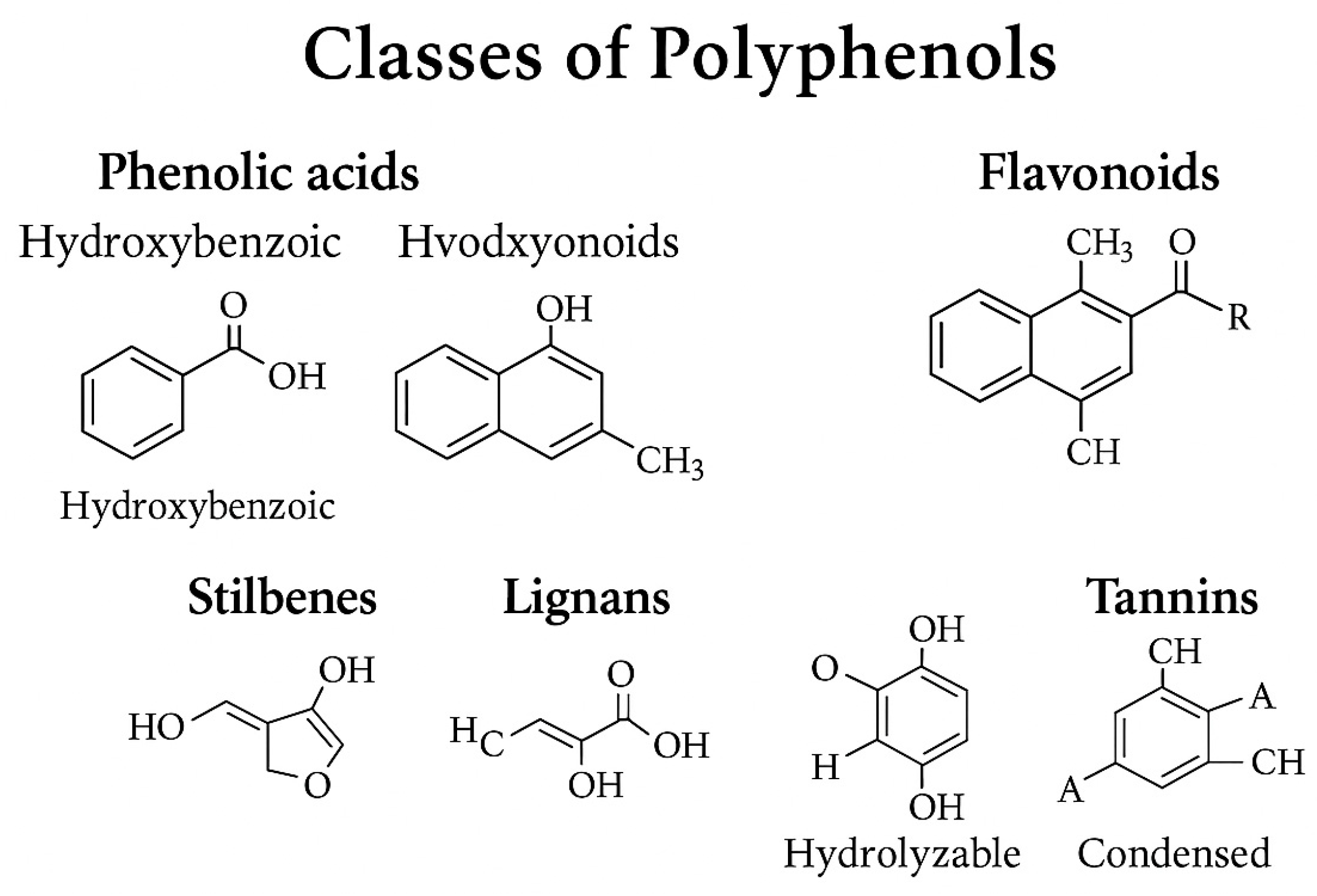 Polyphenols Bioactive Metabolites, and Their Anti-Biofilm and ...