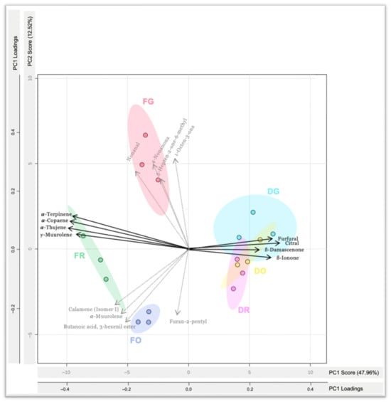 Odor-Active Compound Stability in Mango Peel Side-Streams: Insights for ...