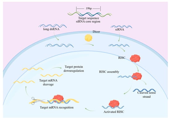 A Comprehensive Review: Current Strategies for Controlling Borer Pests ...