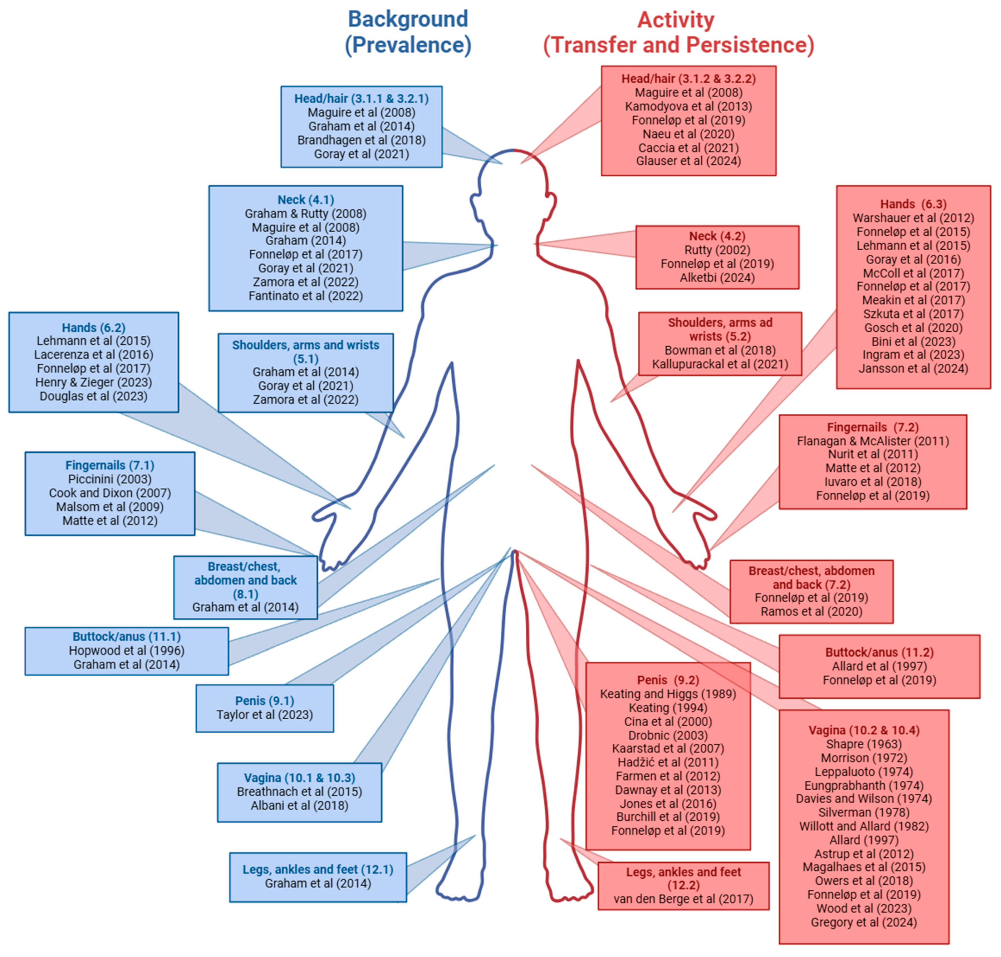 The Transfer, Prevalence, Persistence, and Recovery of DNA from Body ...