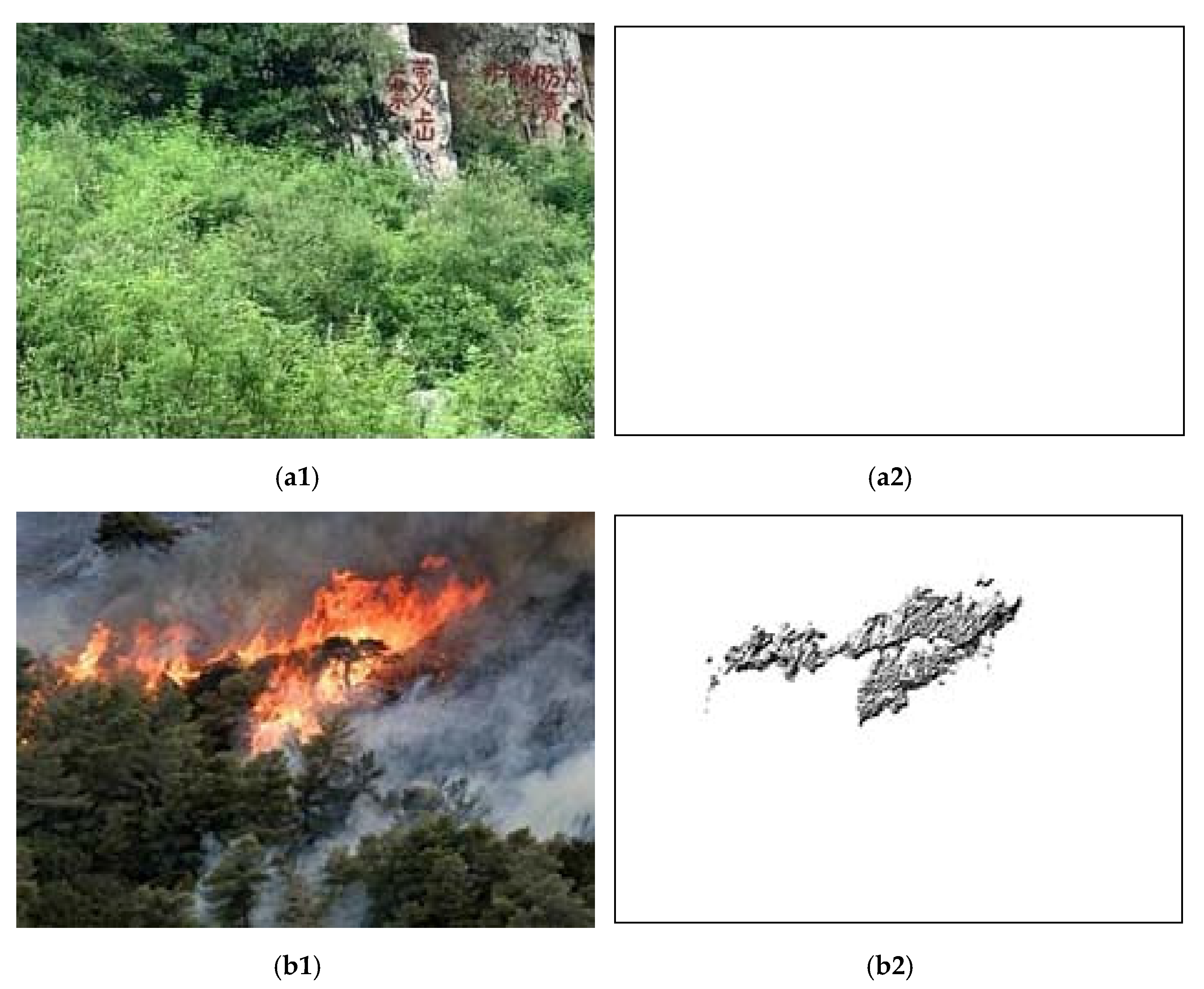 Investigation of Recognition and Classification of Forest Fires Based ...