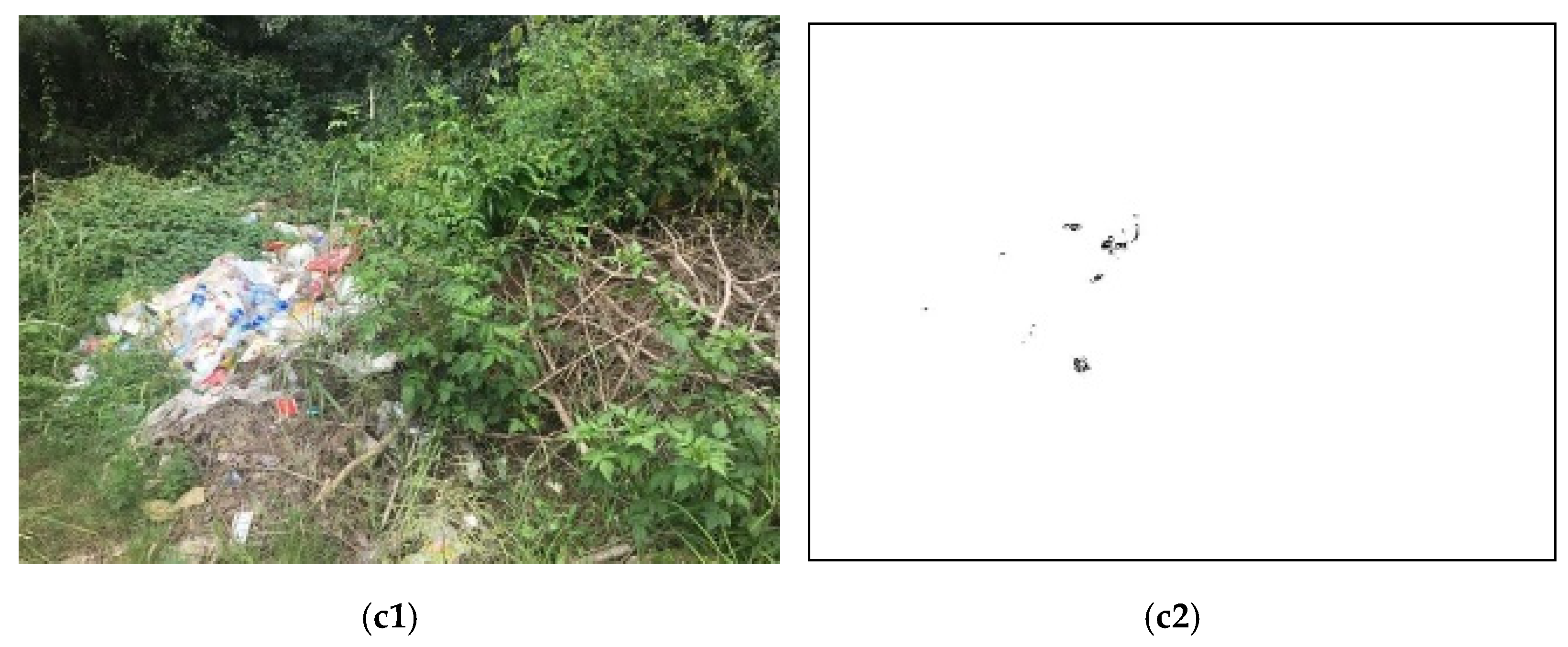 Investigation of Recognition and Classification of Forest Fires Based ...