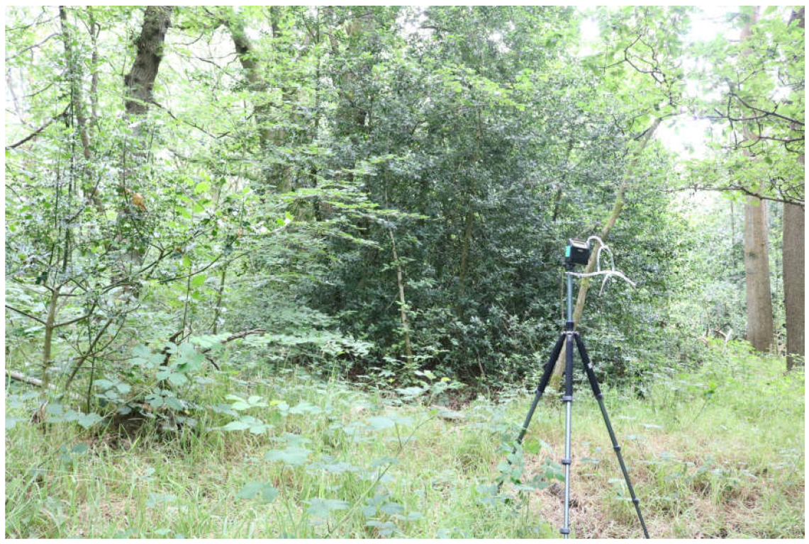 Natural Volatile Organic Compounds (NVOCs) Are Greater and More Diverse ...