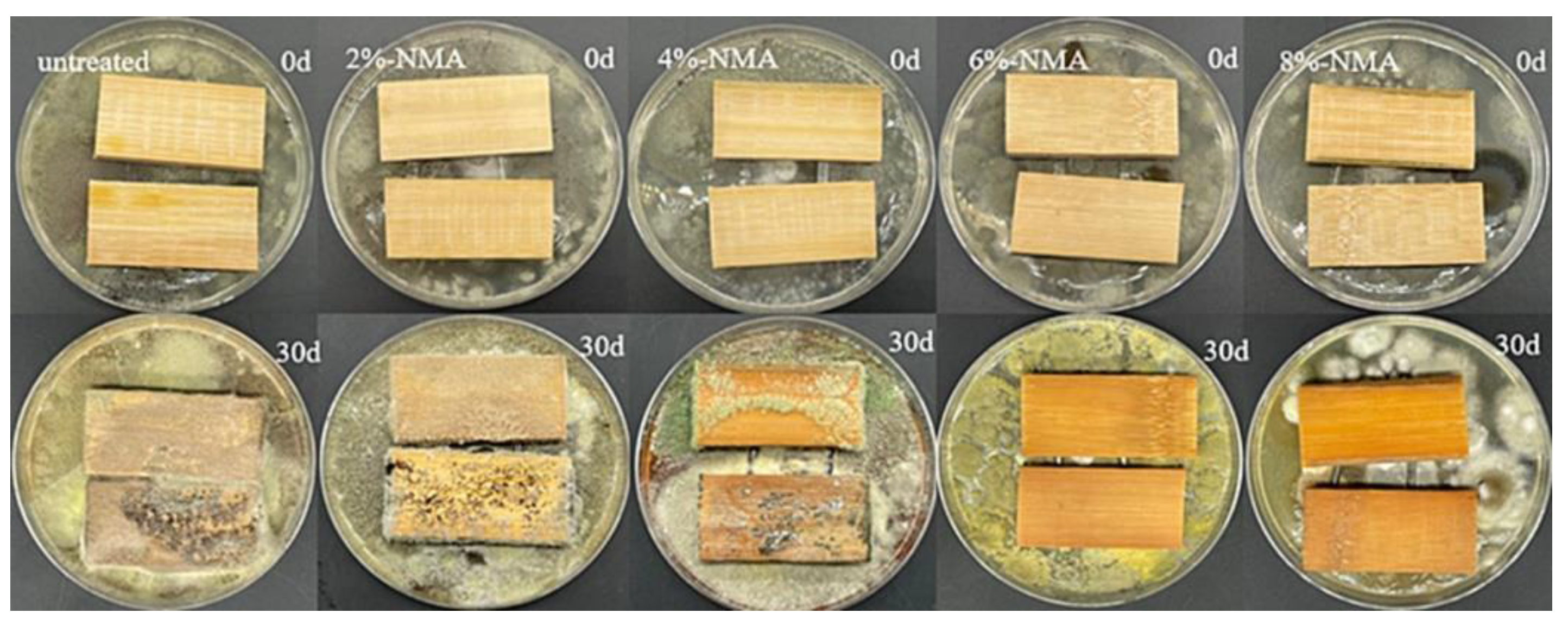 Modification and Application of Bamboo-Based Materials: A Review—Part I: Modification Methods ...