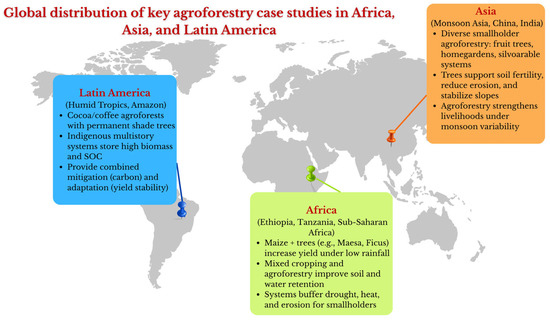 Agroforestry as a Climate-Smart Economic Strategy: Carbon Benefits ...