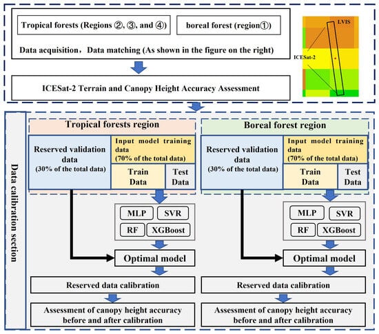 Evaluating and Calibrating ICESat-2 Canopy Height: Airborne Validation ...