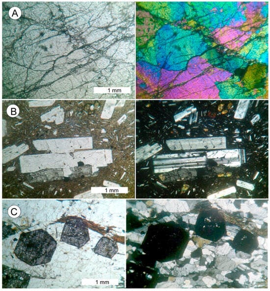 Microscopy of Macrofossils: Techniques from Geology | MDPI