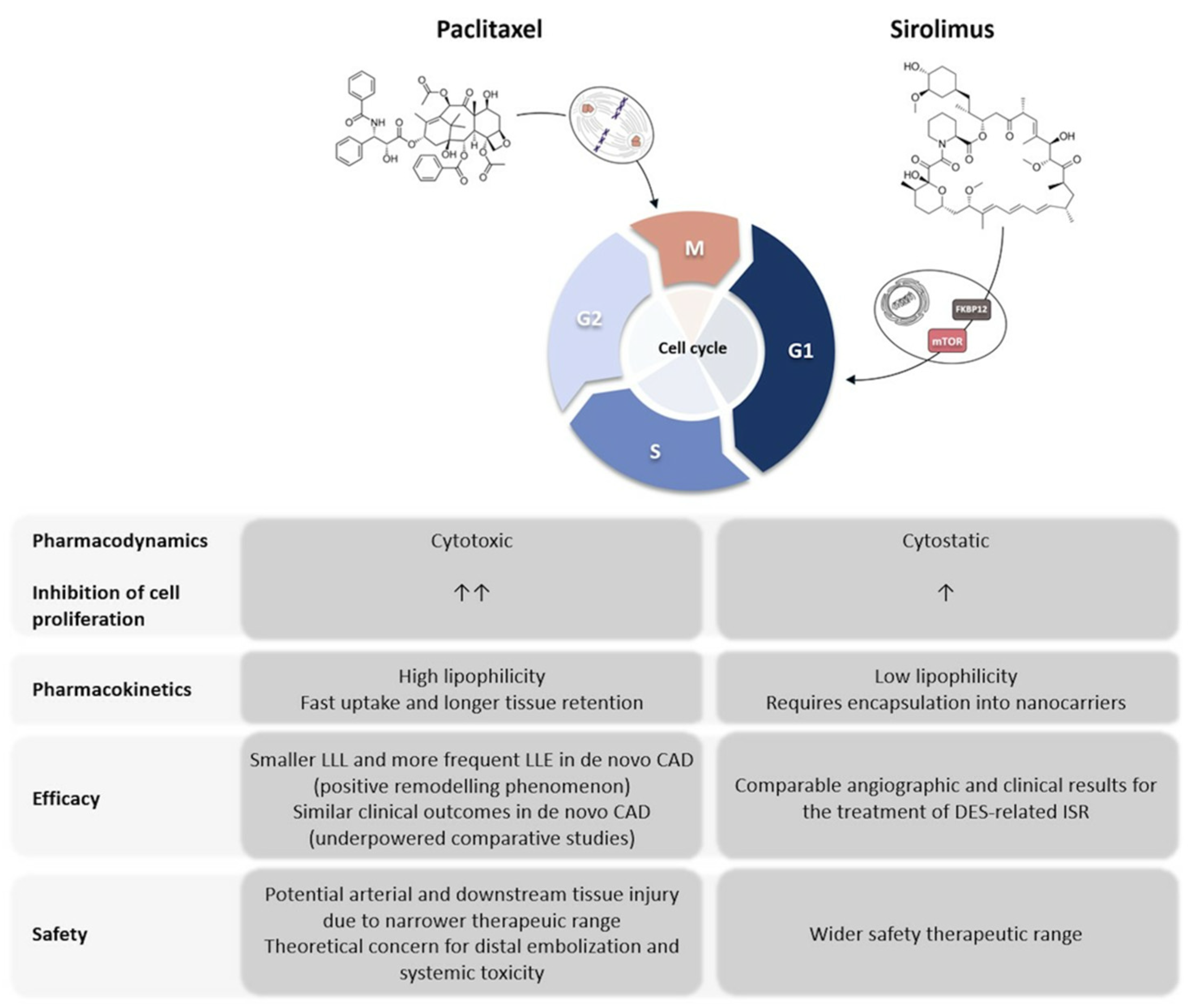 Paclitaxel-Coated Versus Sirolimus-Coated Eluting Balloons for ...