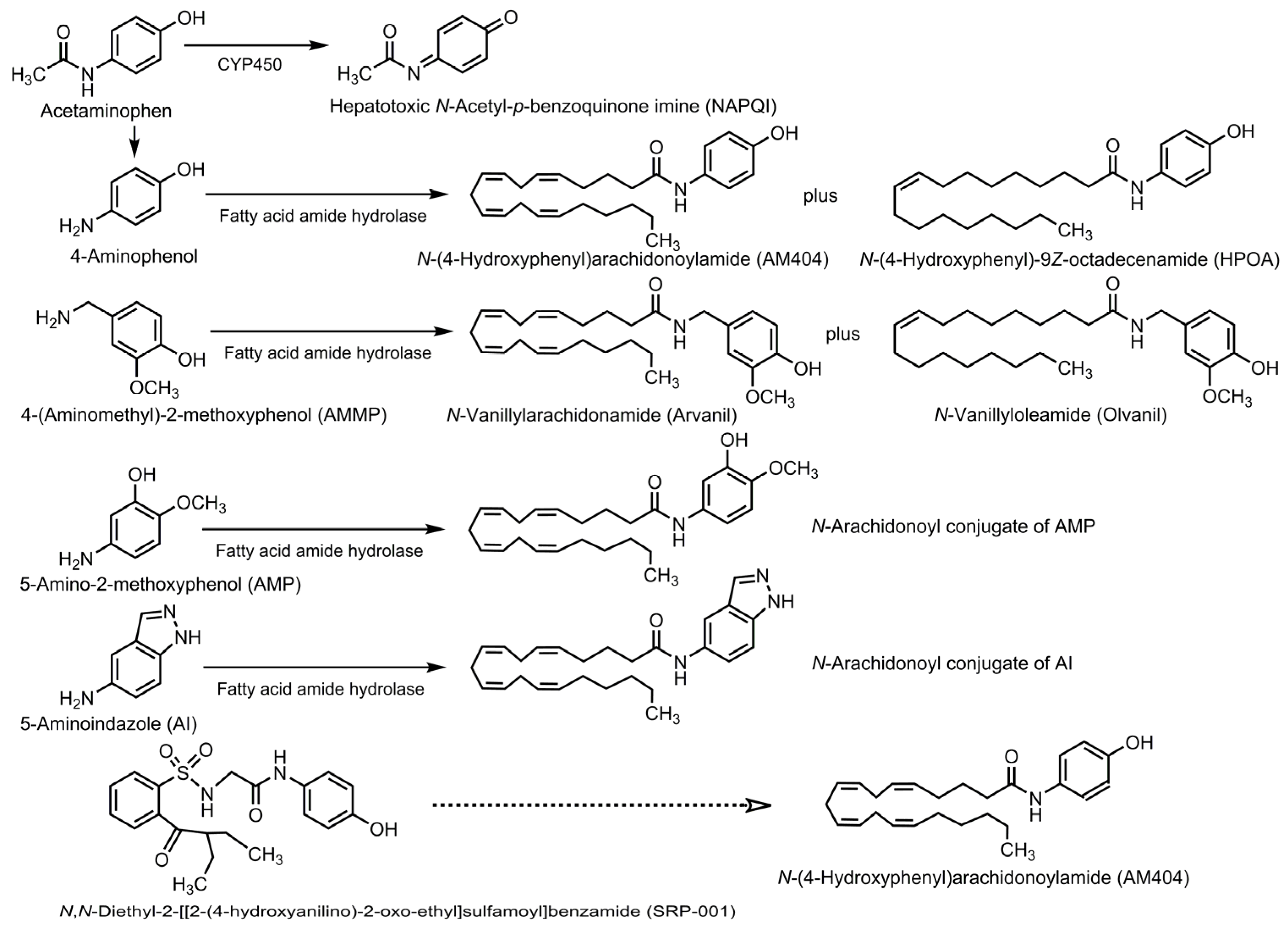 Old and New Analgesic Acetaminophen: Pharmacological Mechanisms ...