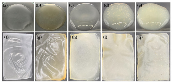 Development of Film-Forming Gel Formulations Containing Royal Jelly and ...