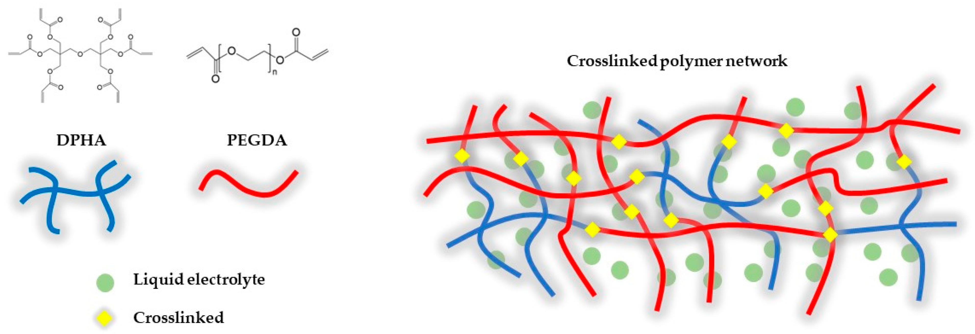 Gel Polymer Electrolytes for Lithium-Ion Batteries Enabled by Photo ...