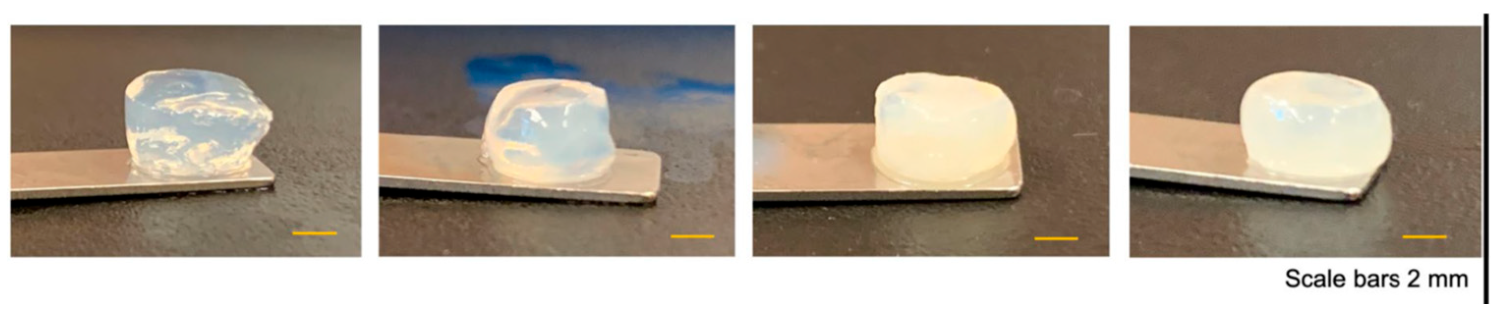 Natural Regenerative Hydrogels for Wound Healing | MDPI