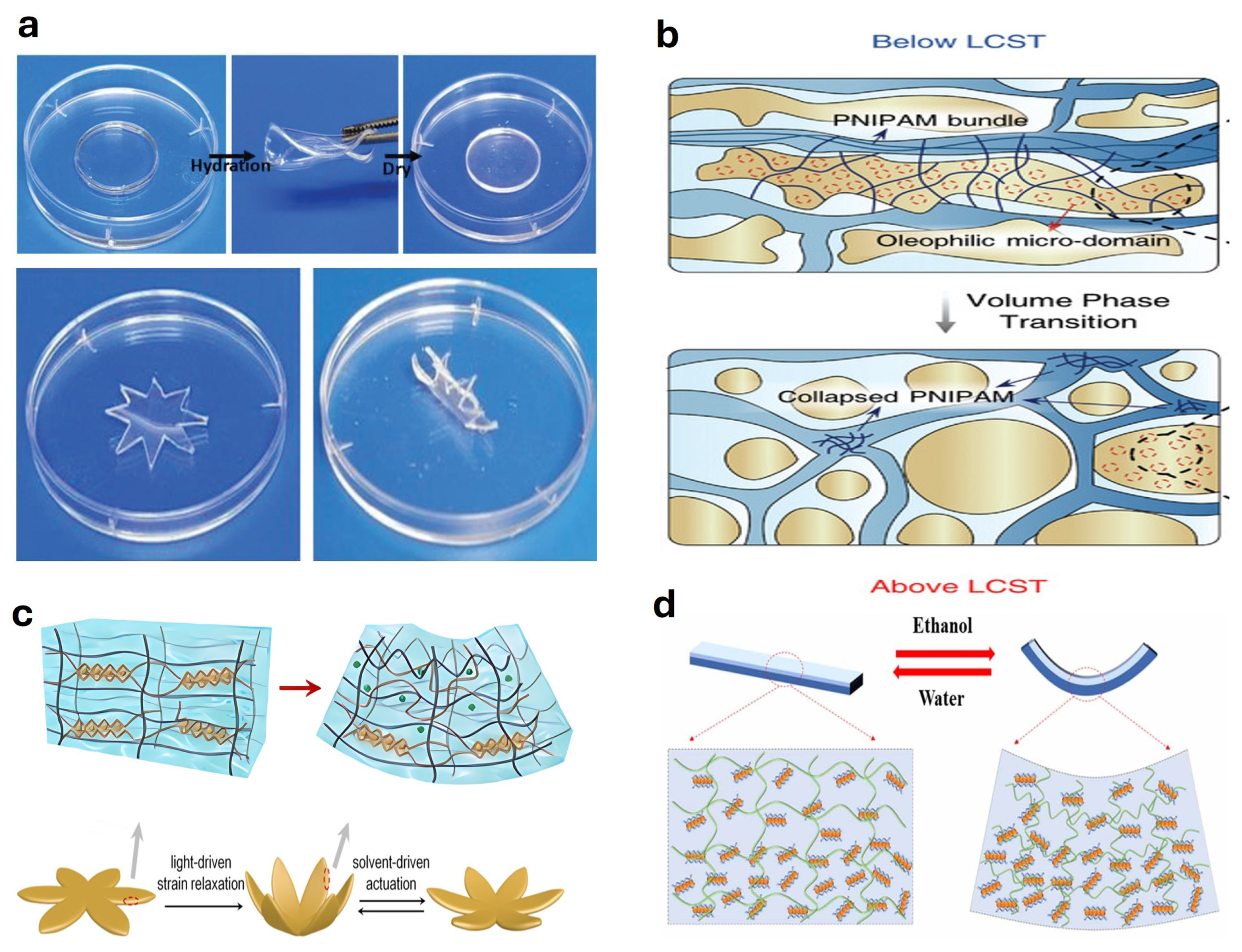 Hydrogel-Based Continuum Soft Robots | MDPI