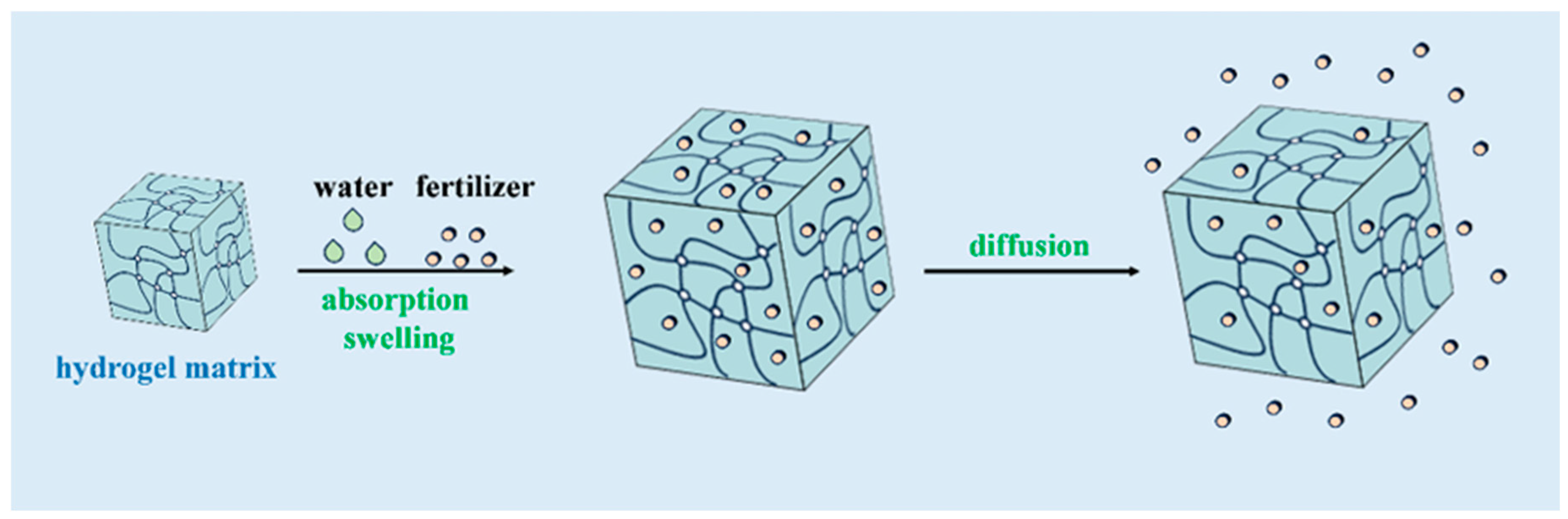 Hydrogel Performance in Boosting Plant Resilience to Water Stress—A ...