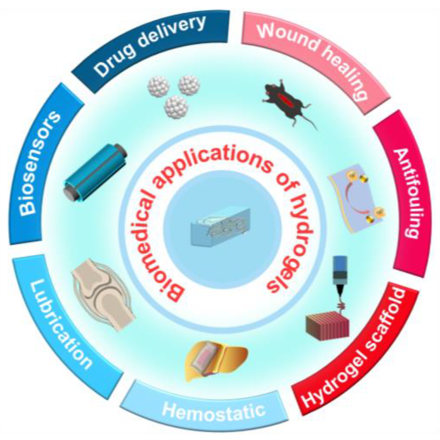 Recent Progress in Hydrogel Synthesis and Biomedical Applications | MDPI