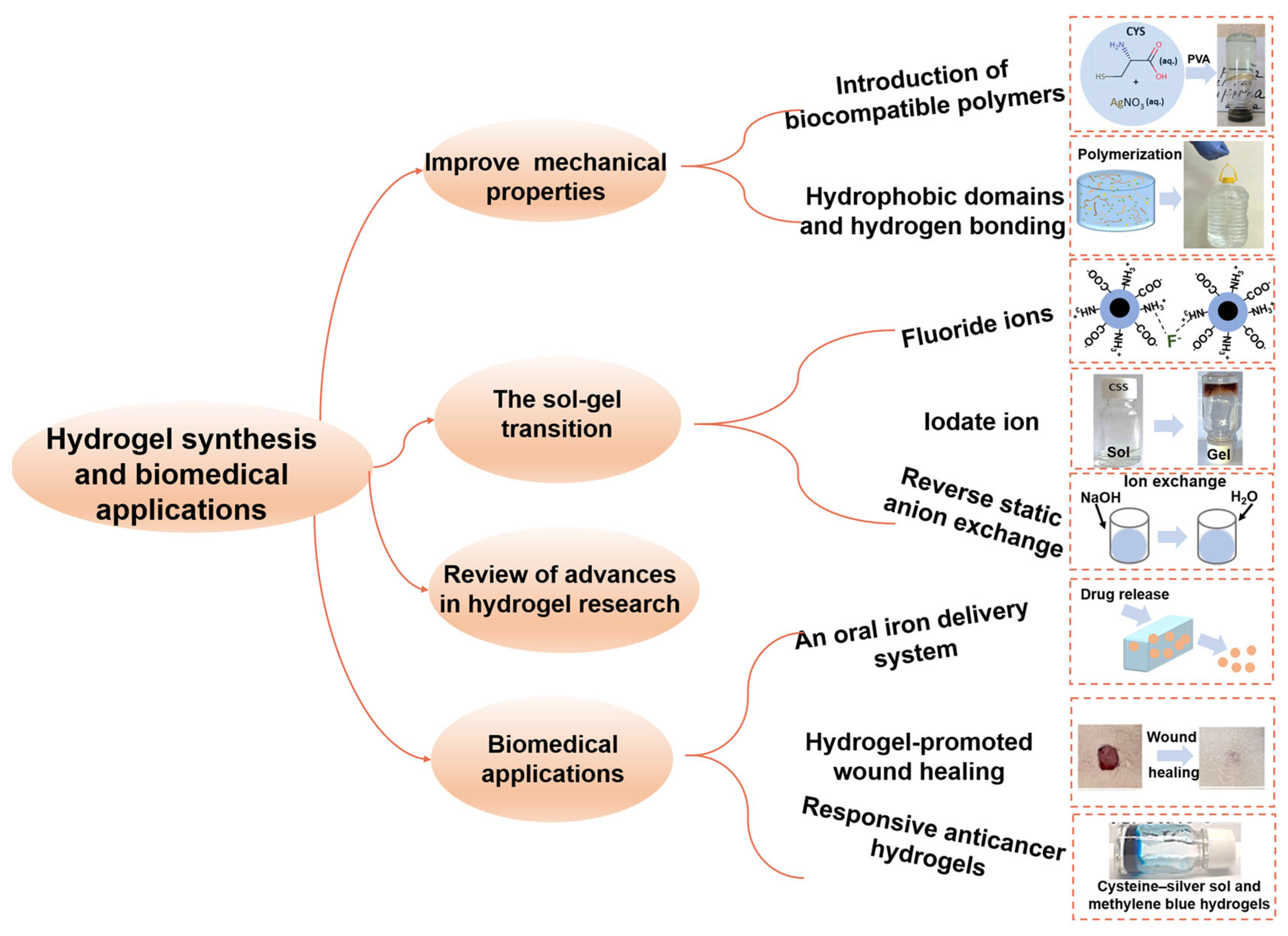Recent Progress in Hydrogel Synthesis and Biomedical Applications | MDPI
