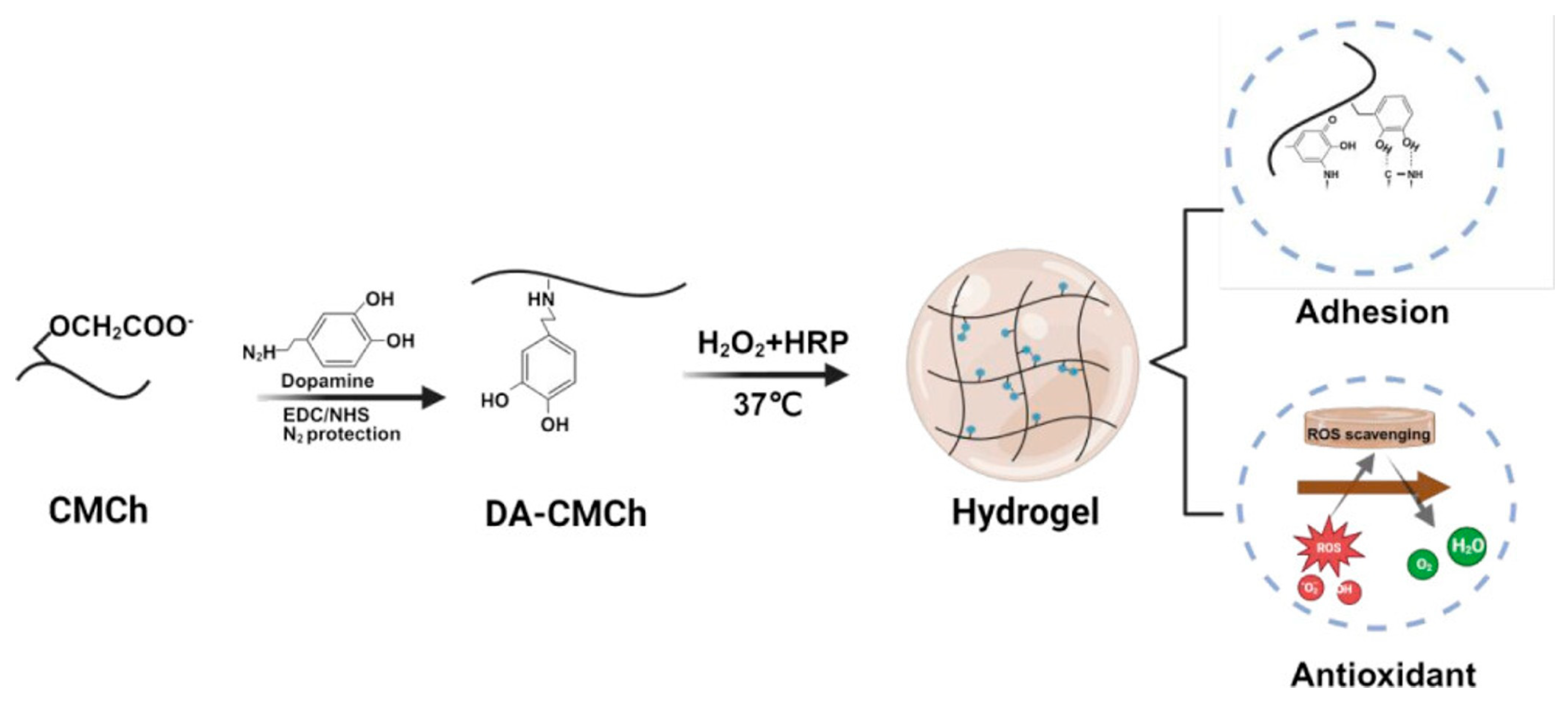 Advances in Nanohybrid Hydrogels for Wound Healing: From Functional ...