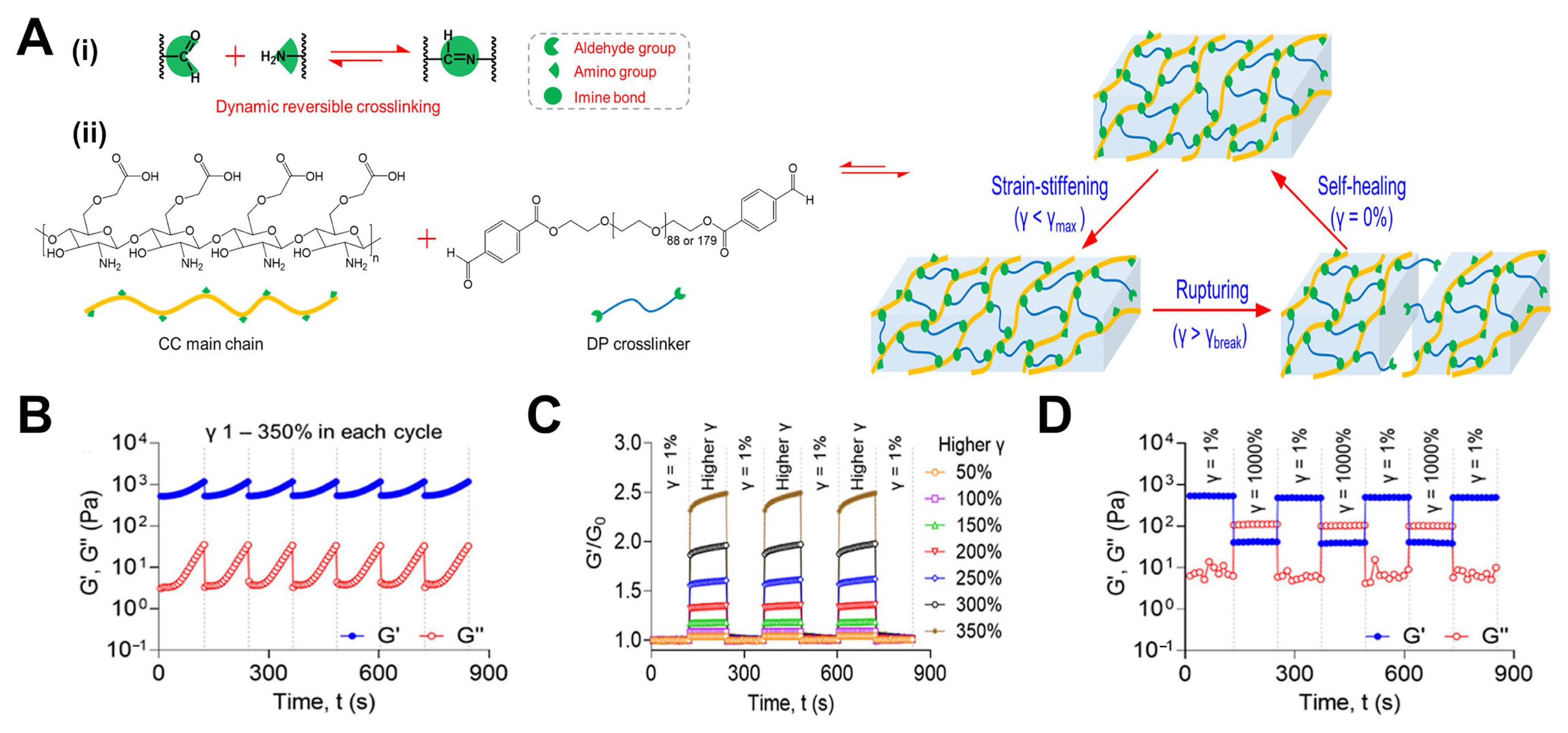 Hydrogel Network Architecture Design Space: Impact on Mechanical and ...
