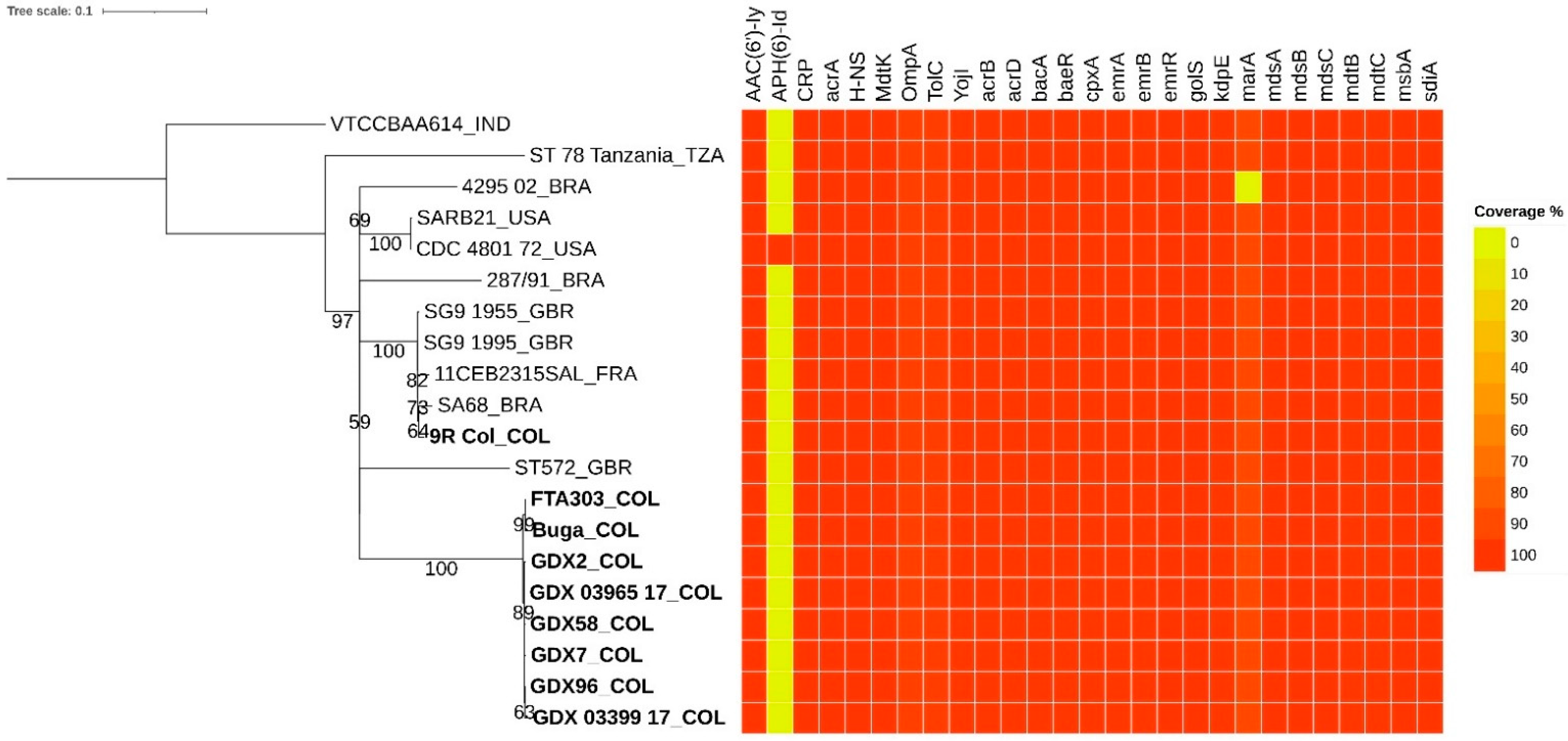 Genomic Characterization and Genetic Profiles of Salmonella Gallinarum ...