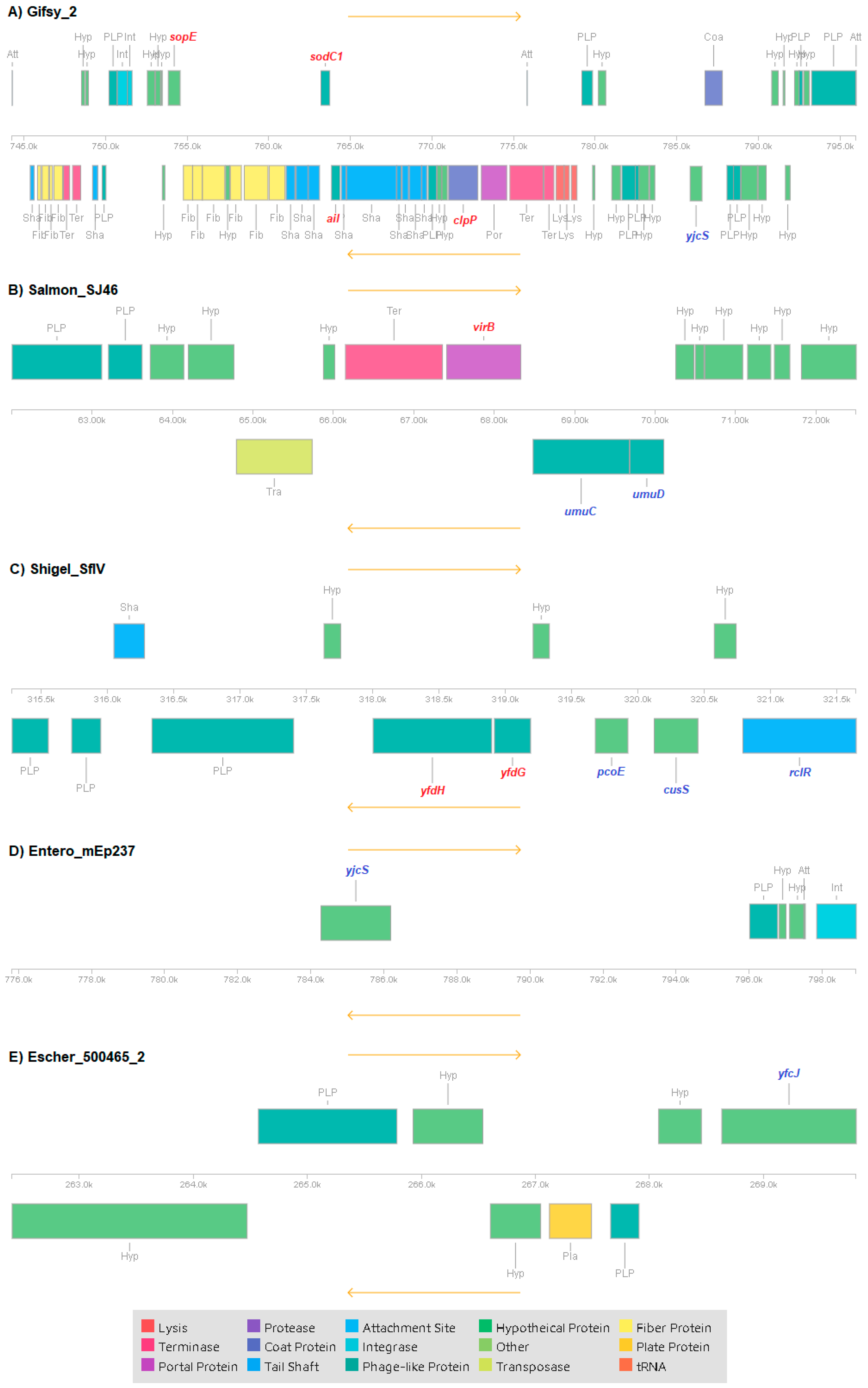 Genomic Characterization and Genetic Profiles of Salmonella Gallinarum ...