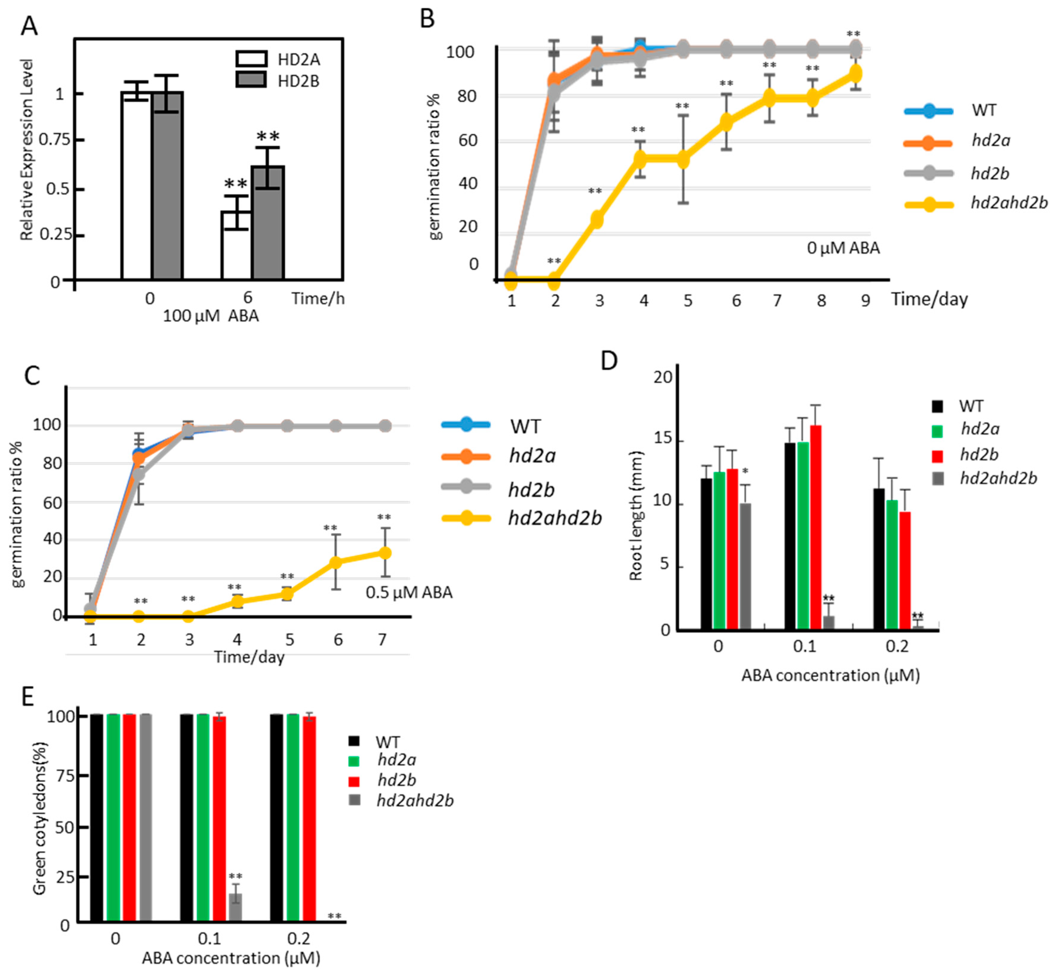 Histone Deacetylases HD2A and HD2B Undergo Feedback Regulation by ABA ...