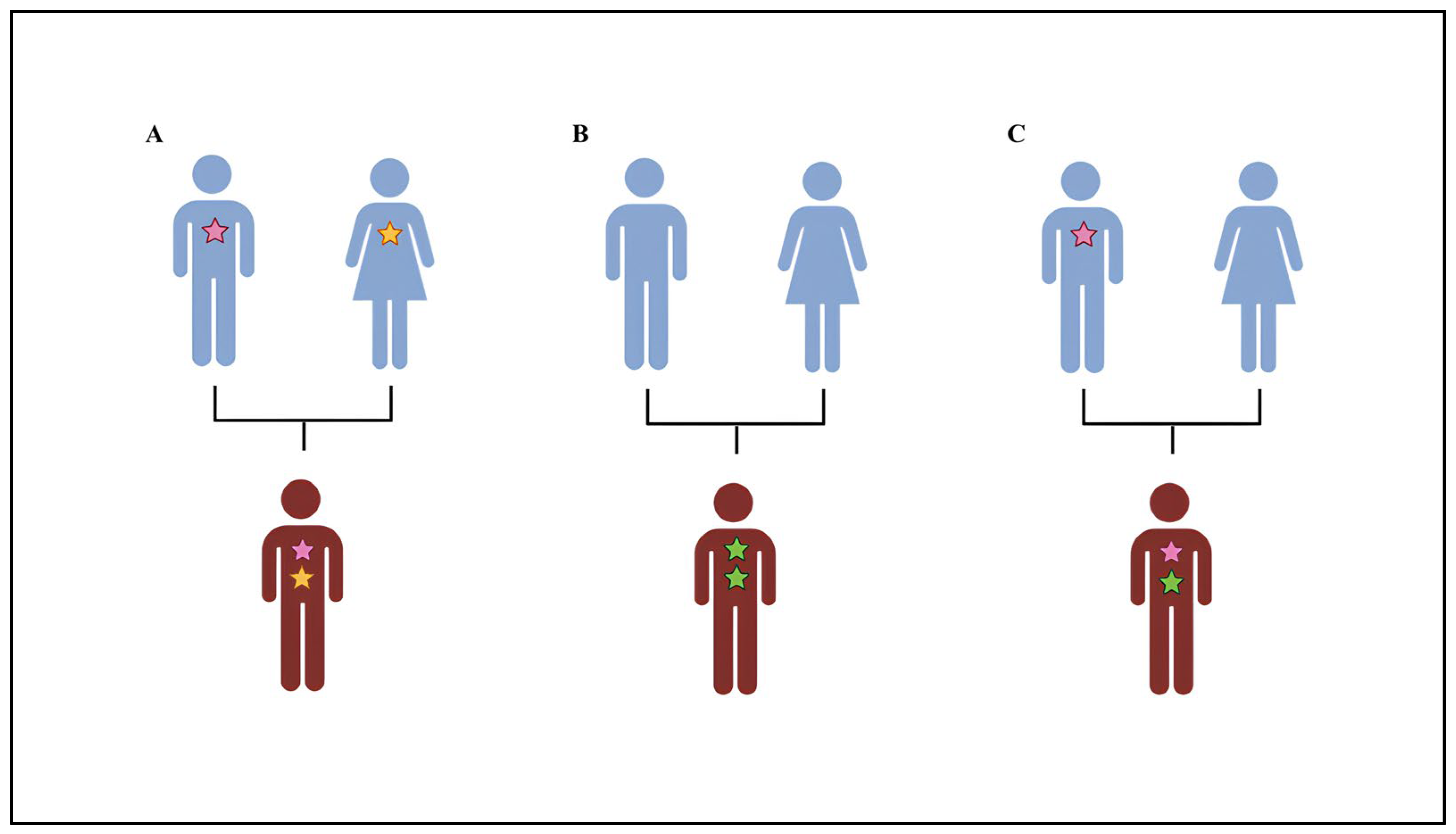 Autism Spectrum Disorder: Genetic Mechanisms and Inheritance Patterns ...